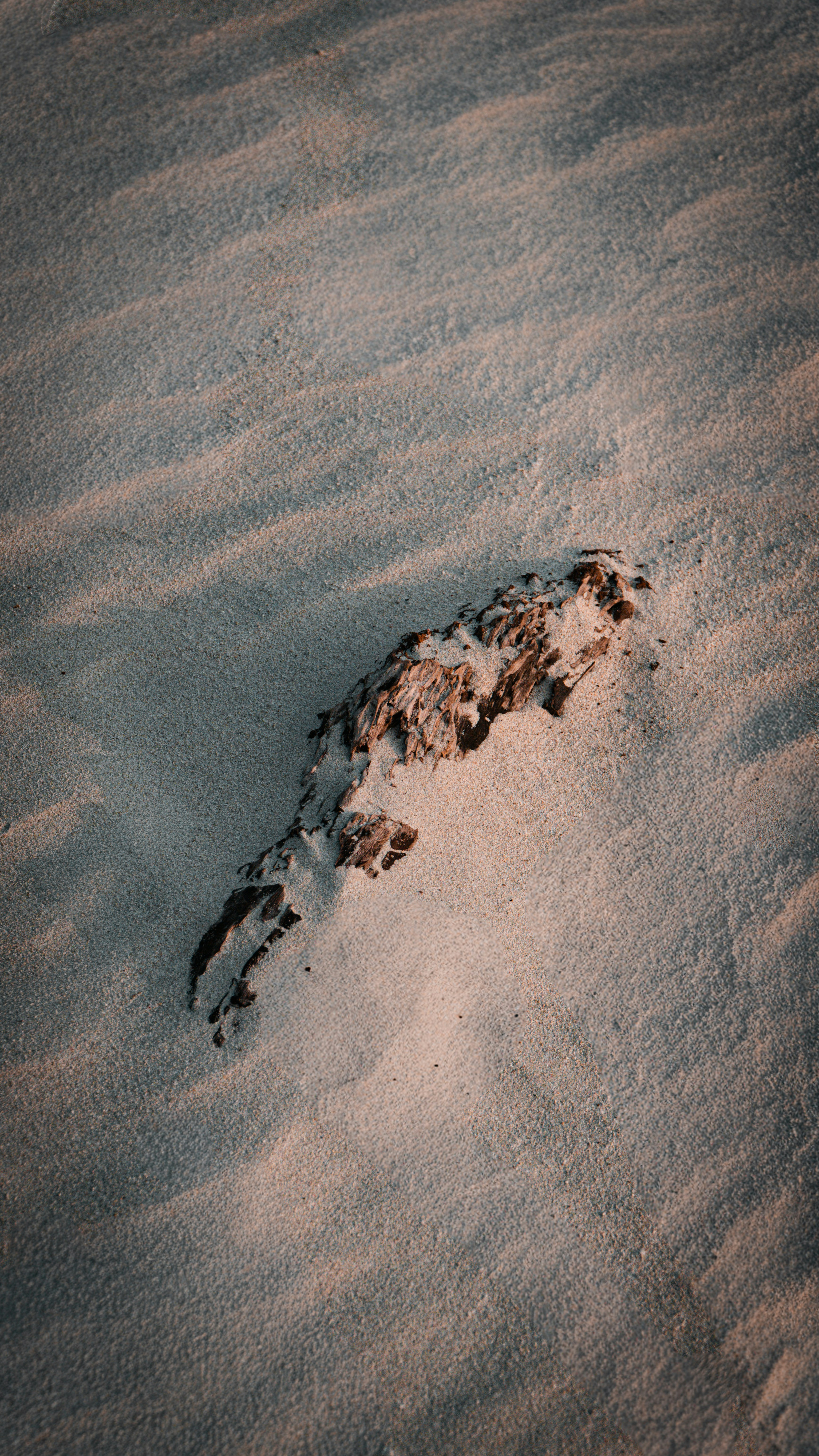 Moonlit Ridge in Fine Sand