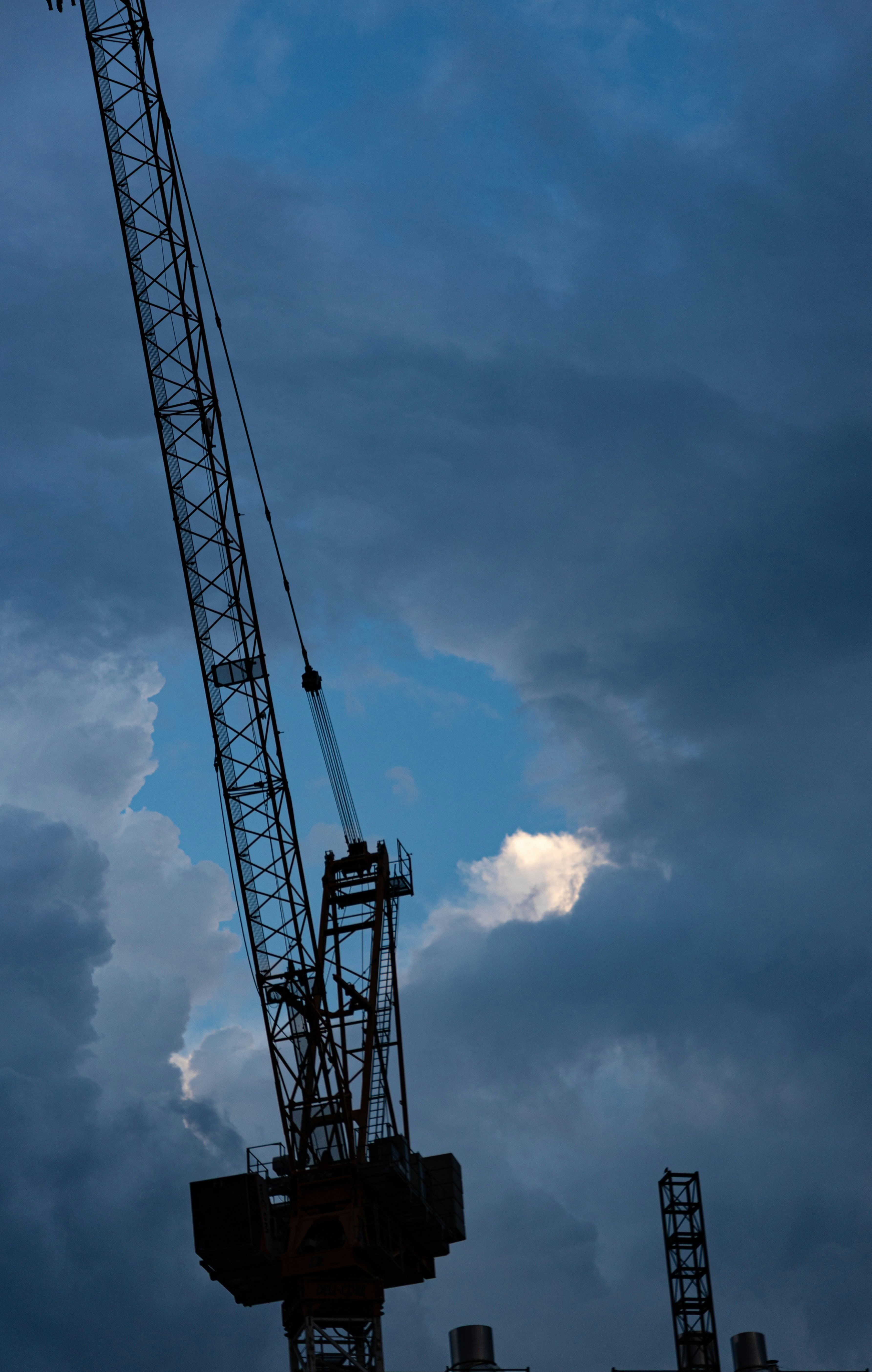 Crane Silhouette Against a Moody Sky