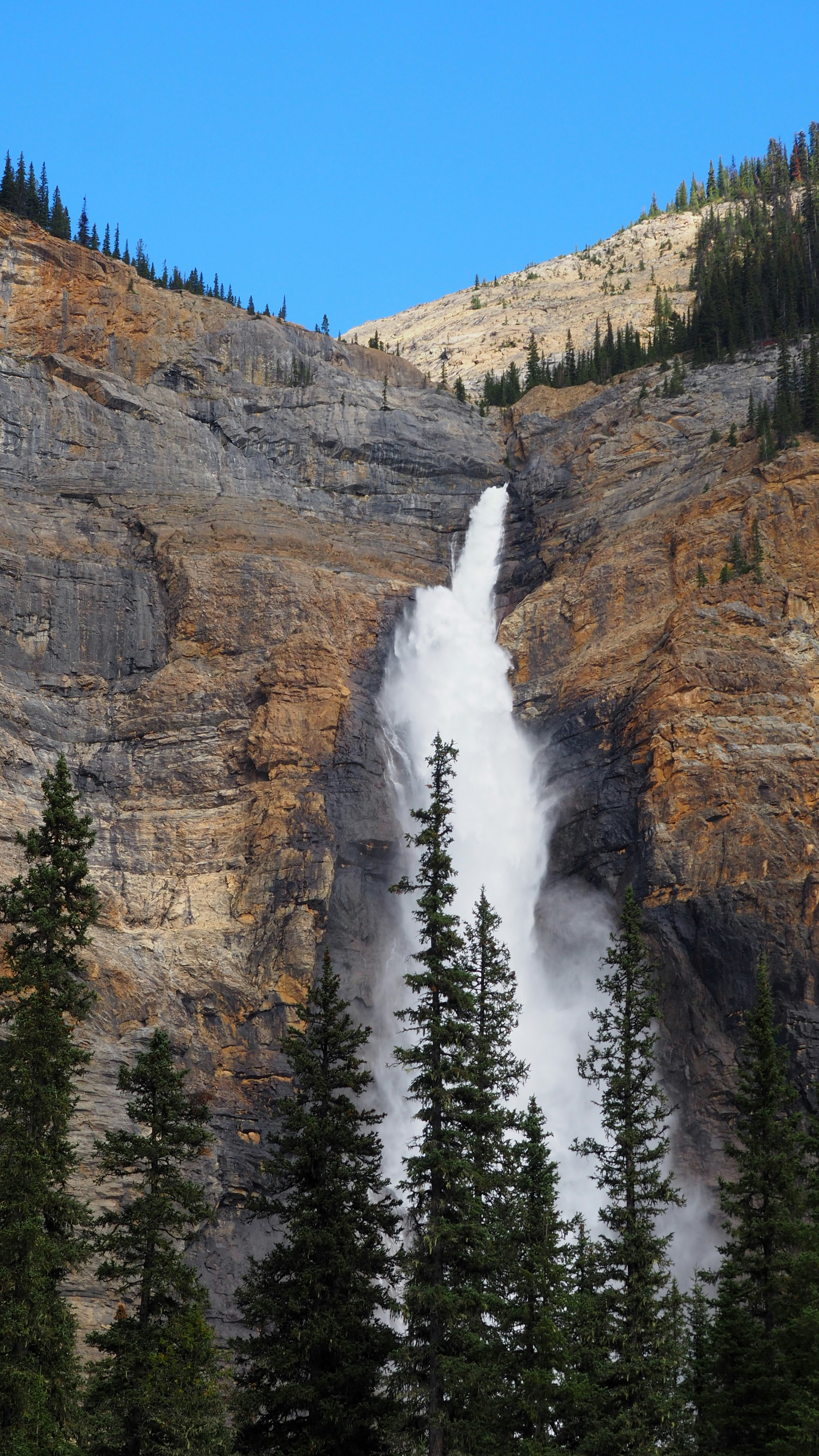 Cascading Glacier Bluff: A Tall Cascade Between Stone and Pine