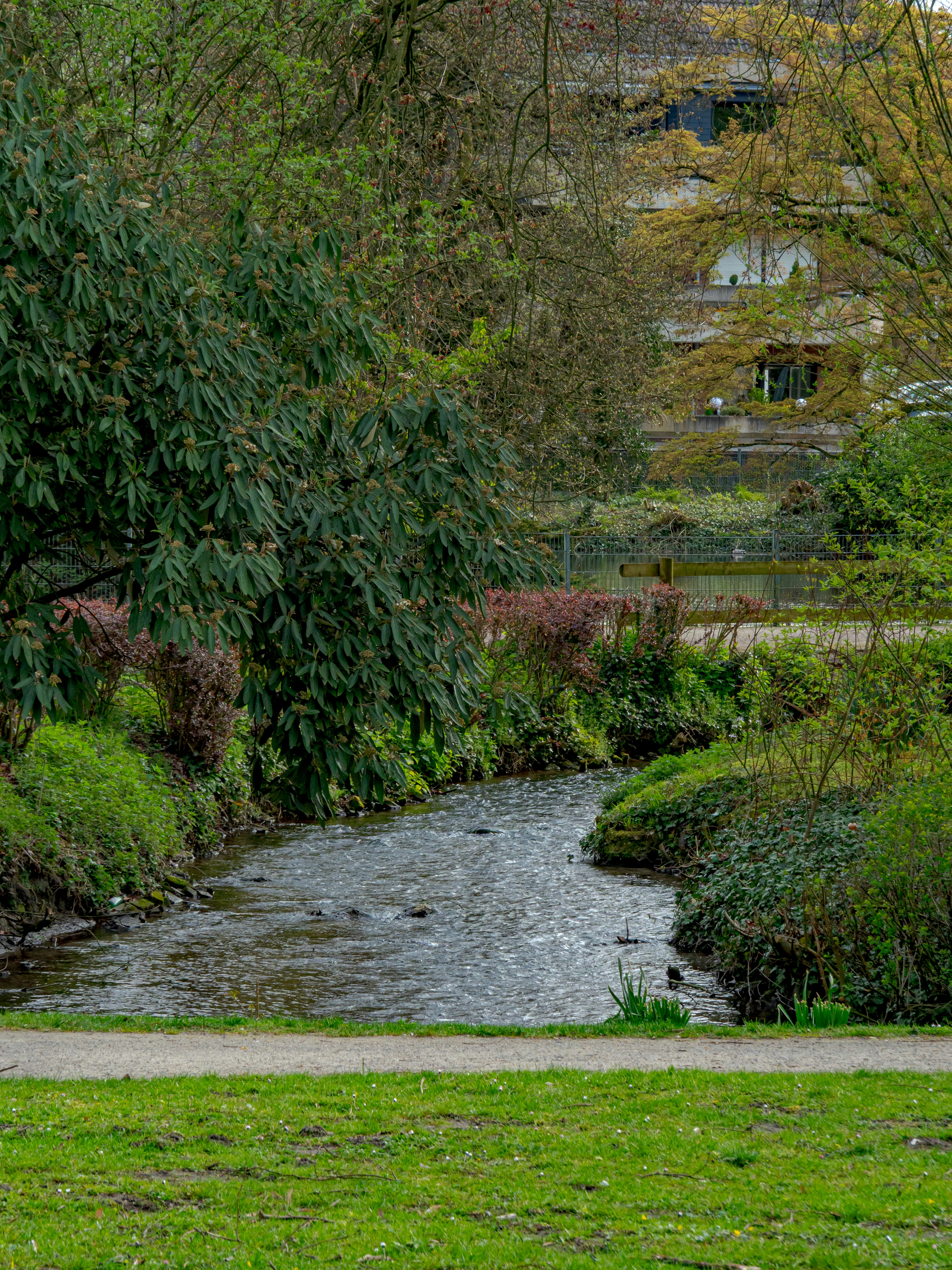 Quiet Riverside Garden with a Meandering Stream