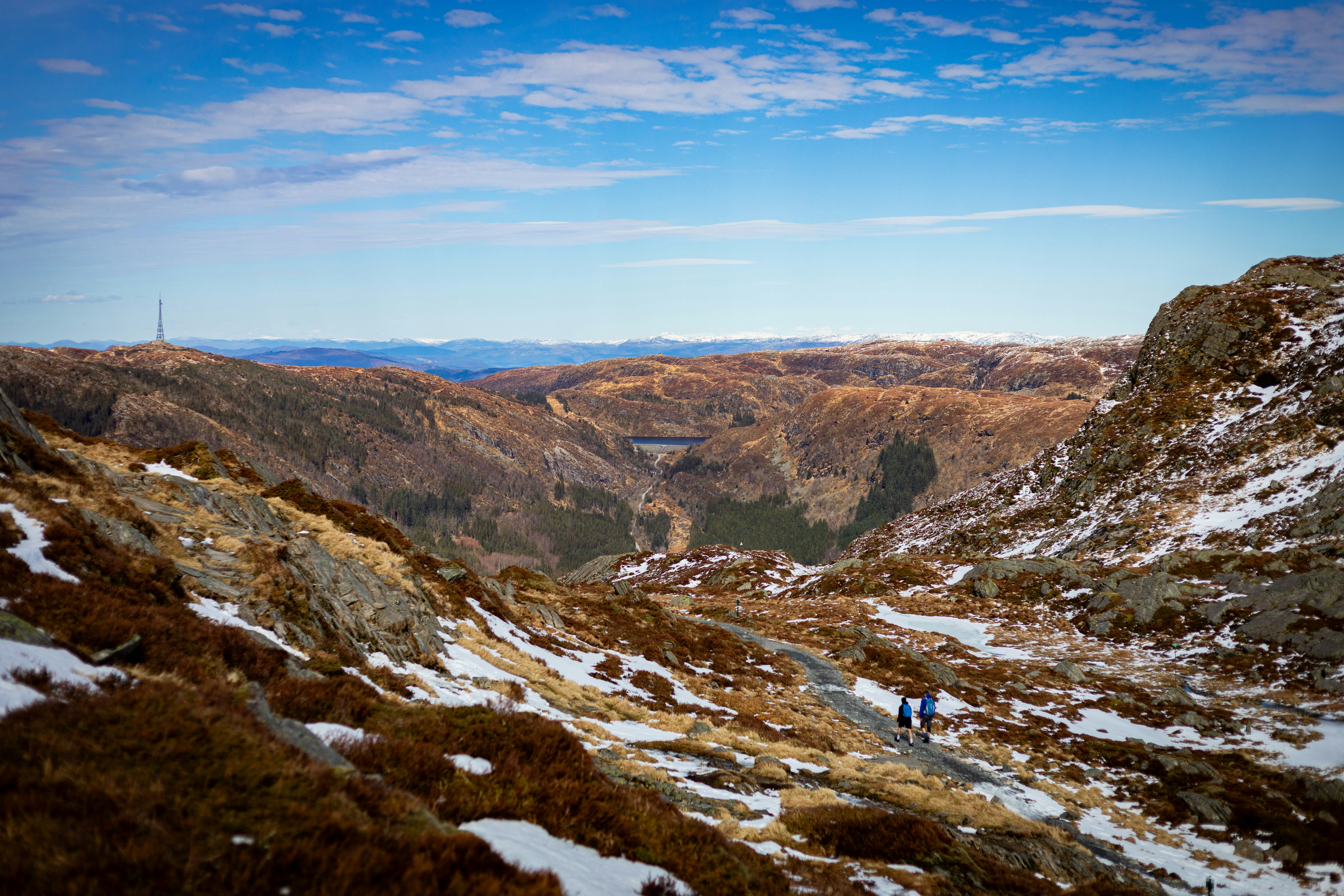 Winter Trail through a Snow-dusted Gorge under a Clear Sky