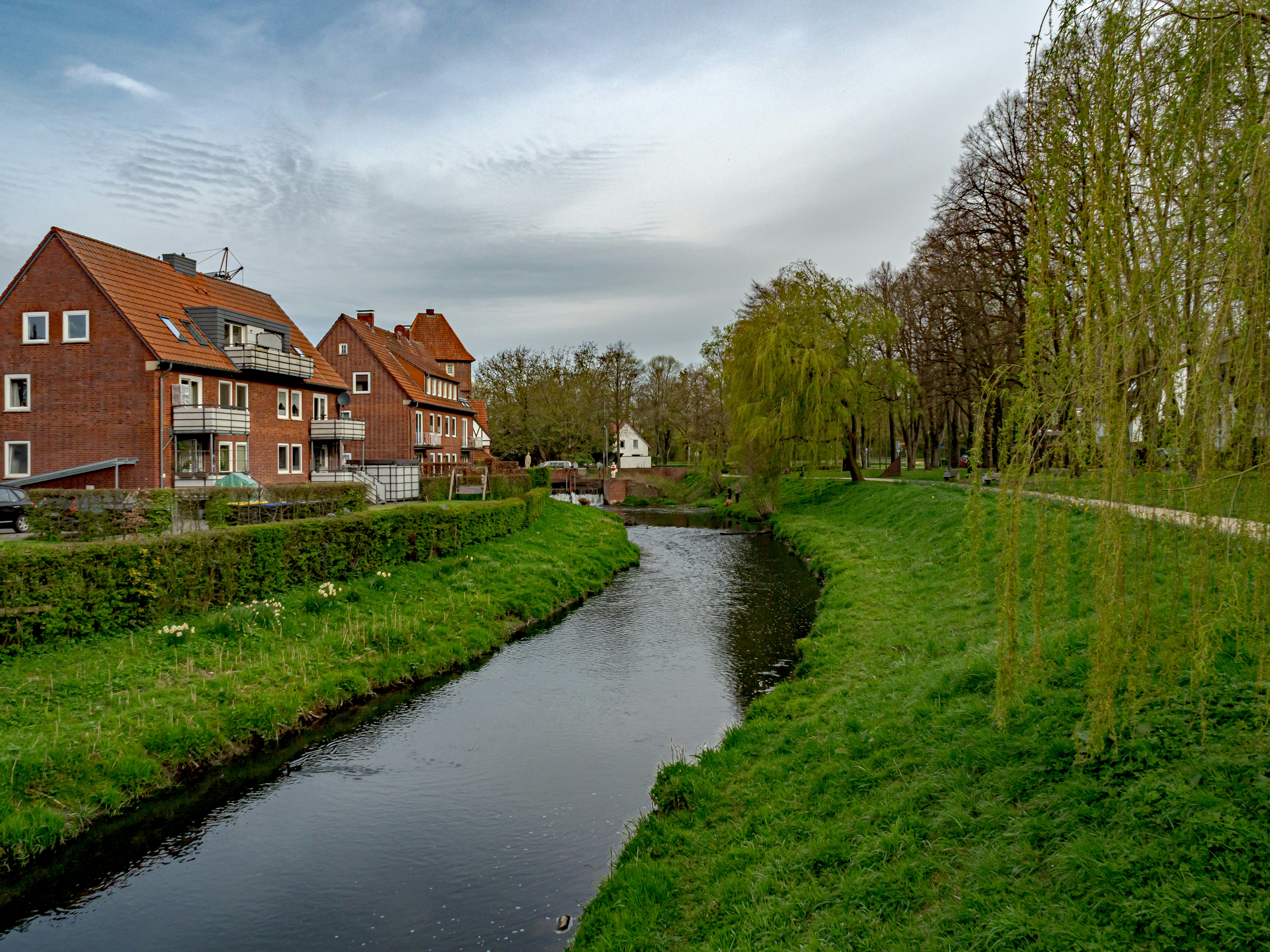 Canal-side Terrace: Red Roofs and Willow-lined Stream