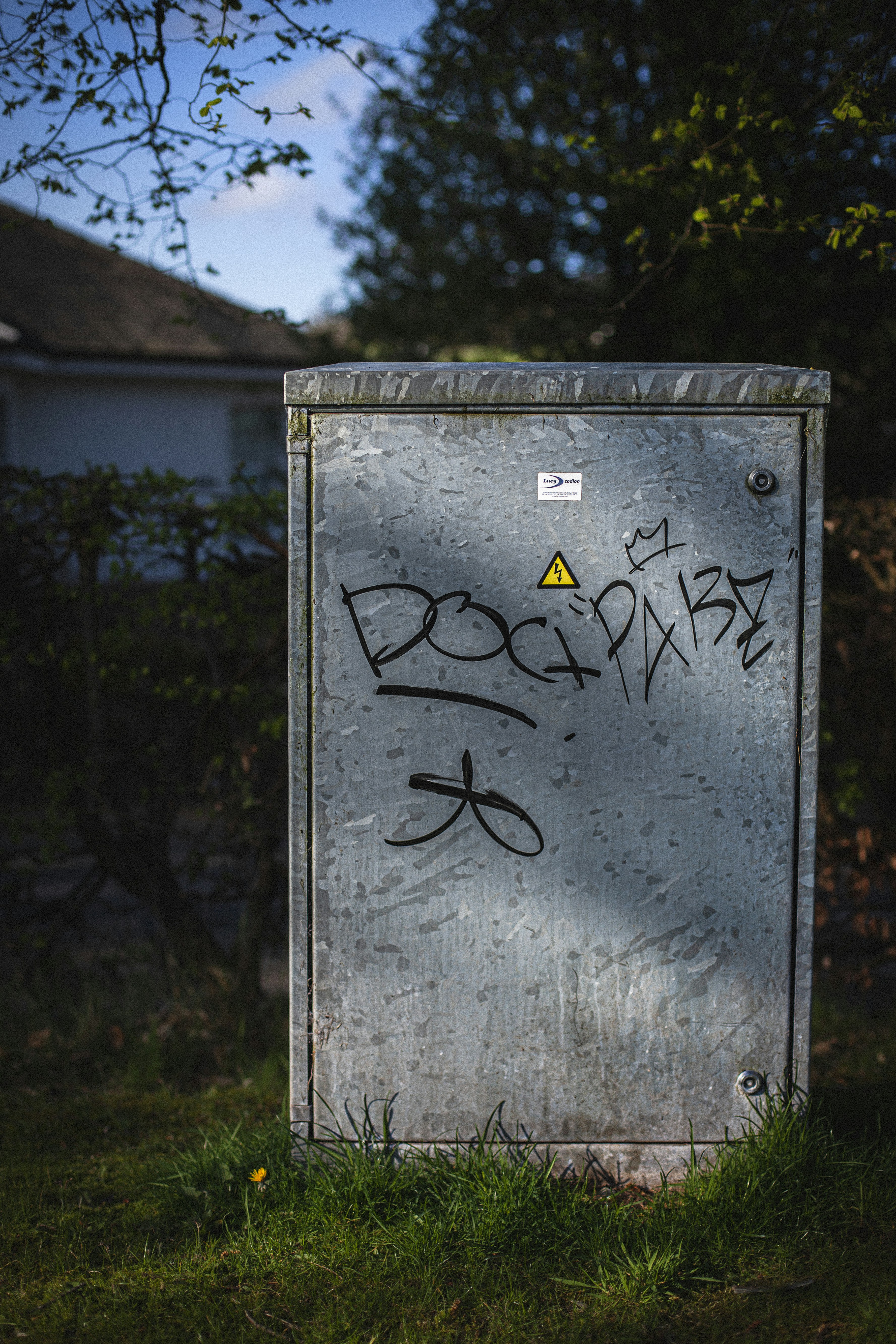 Graffitied Utility Box in a Quiet Yard