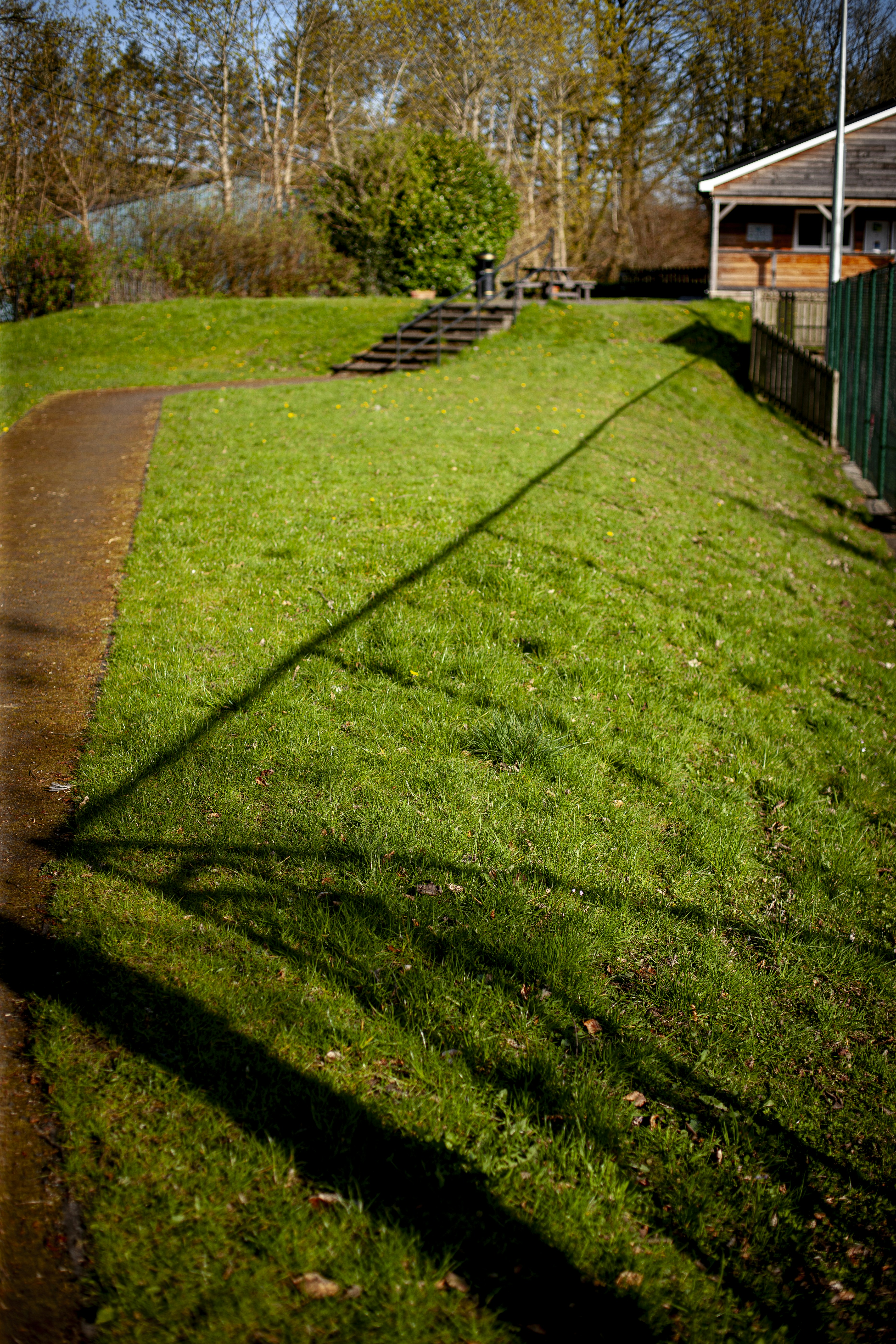 Sunlit Crest: A Park Path casts Long Shadows Across Kelway Lawn