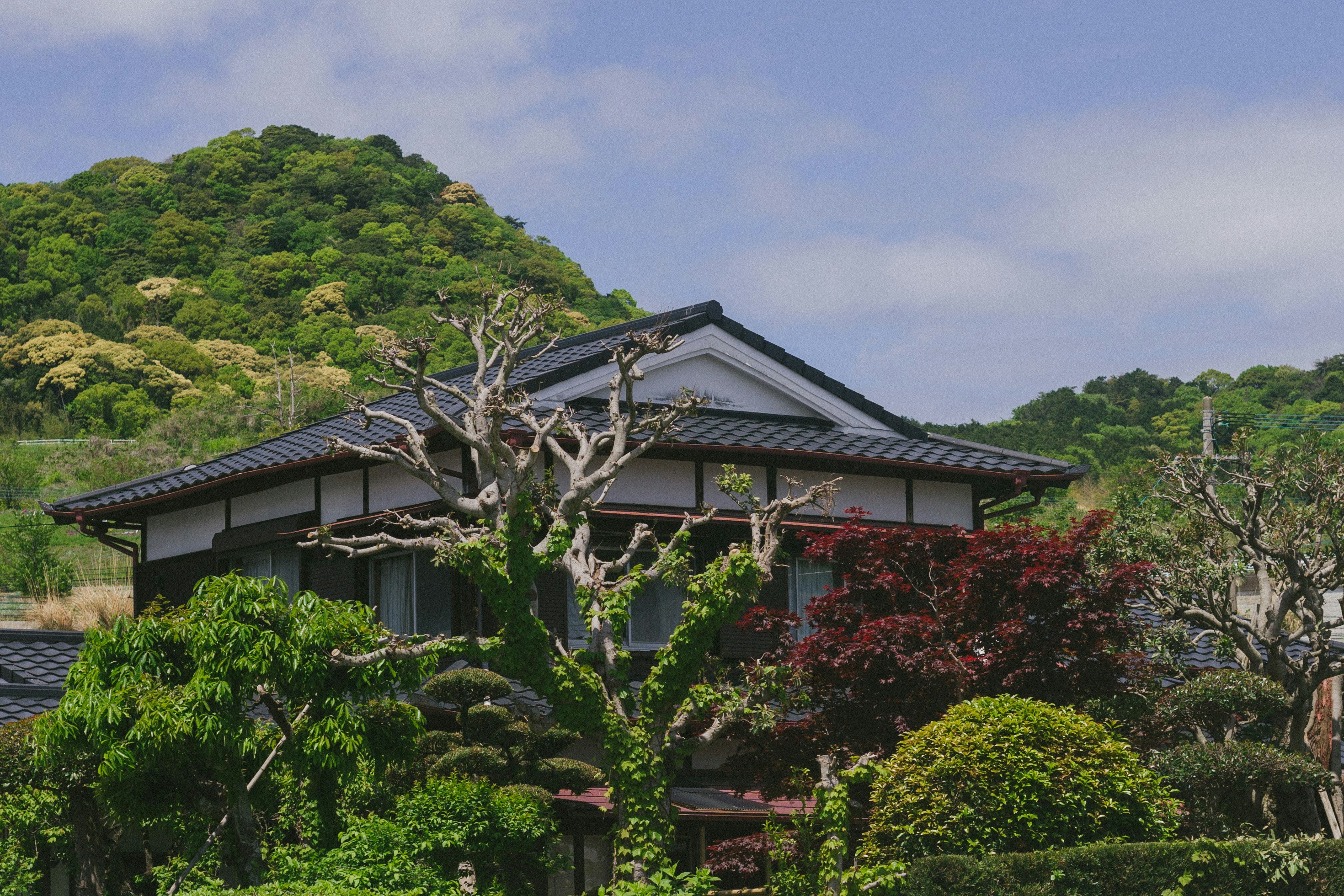Serene Japanese House Nestled in Sculpted Garden Amid Green Hills
