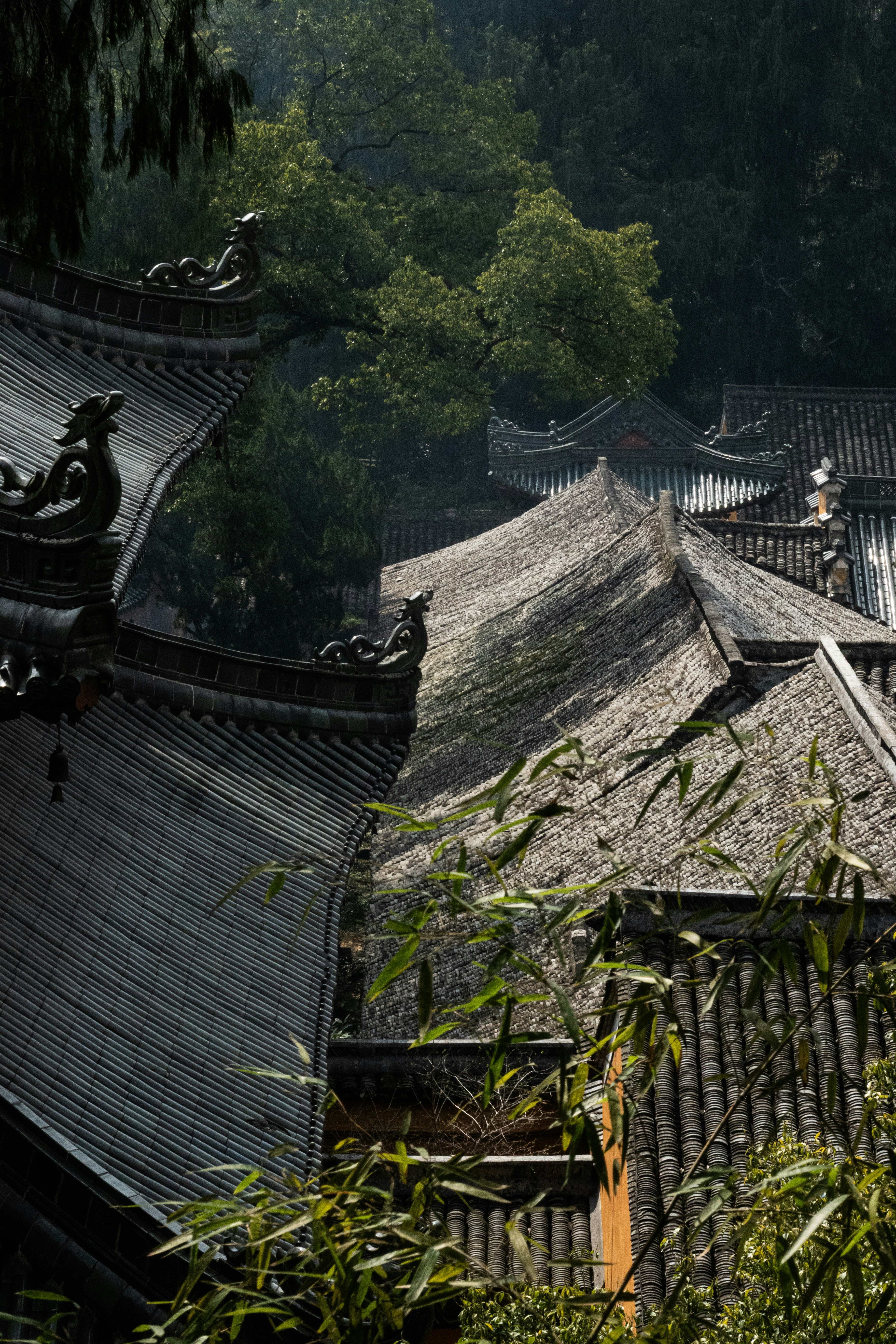 Rooflines and Curves: A Quiet Temple Vista tucked in Greenery