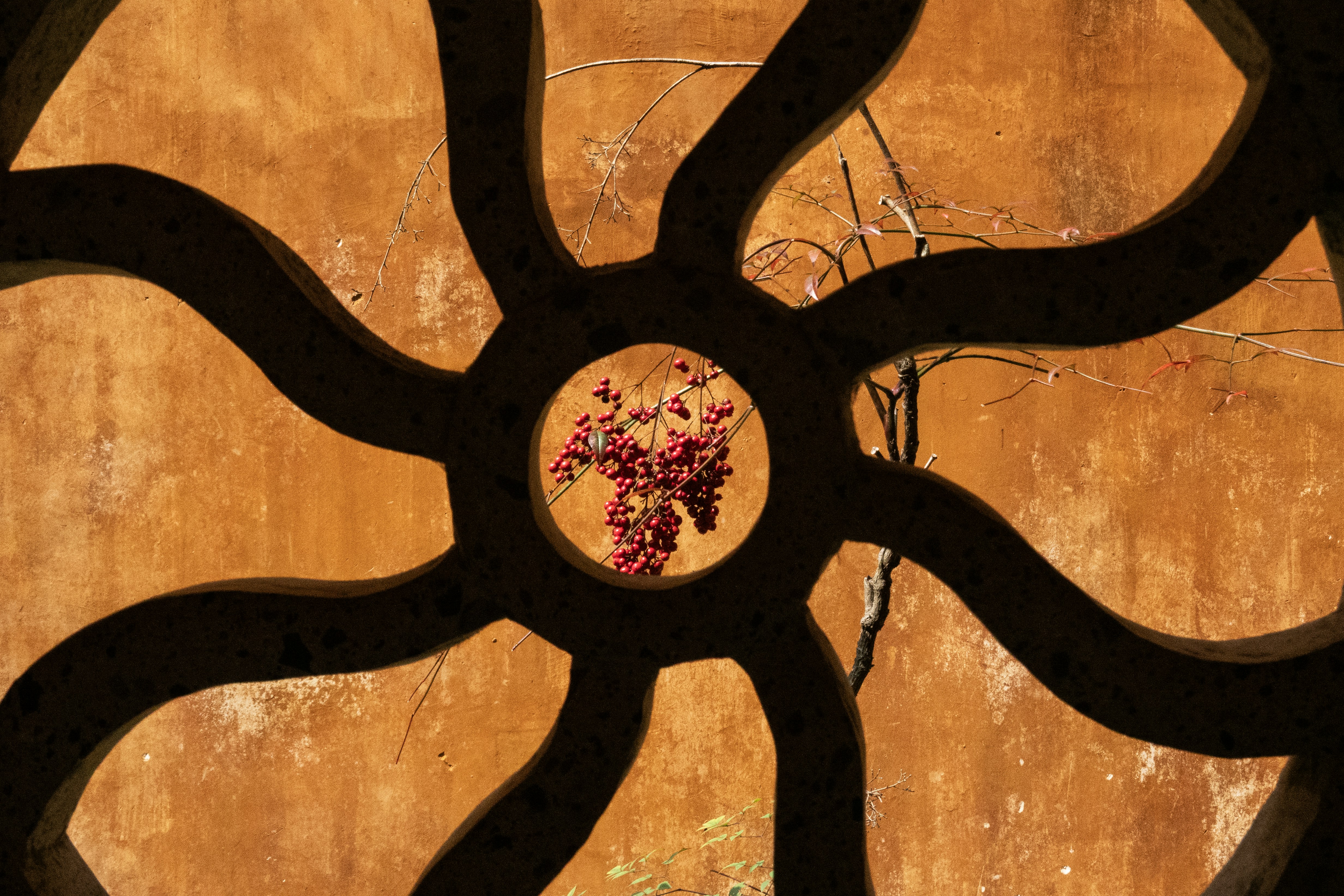 Radiant Wheel: Sunlit Orange Grid Framed by Rustic Silhouette