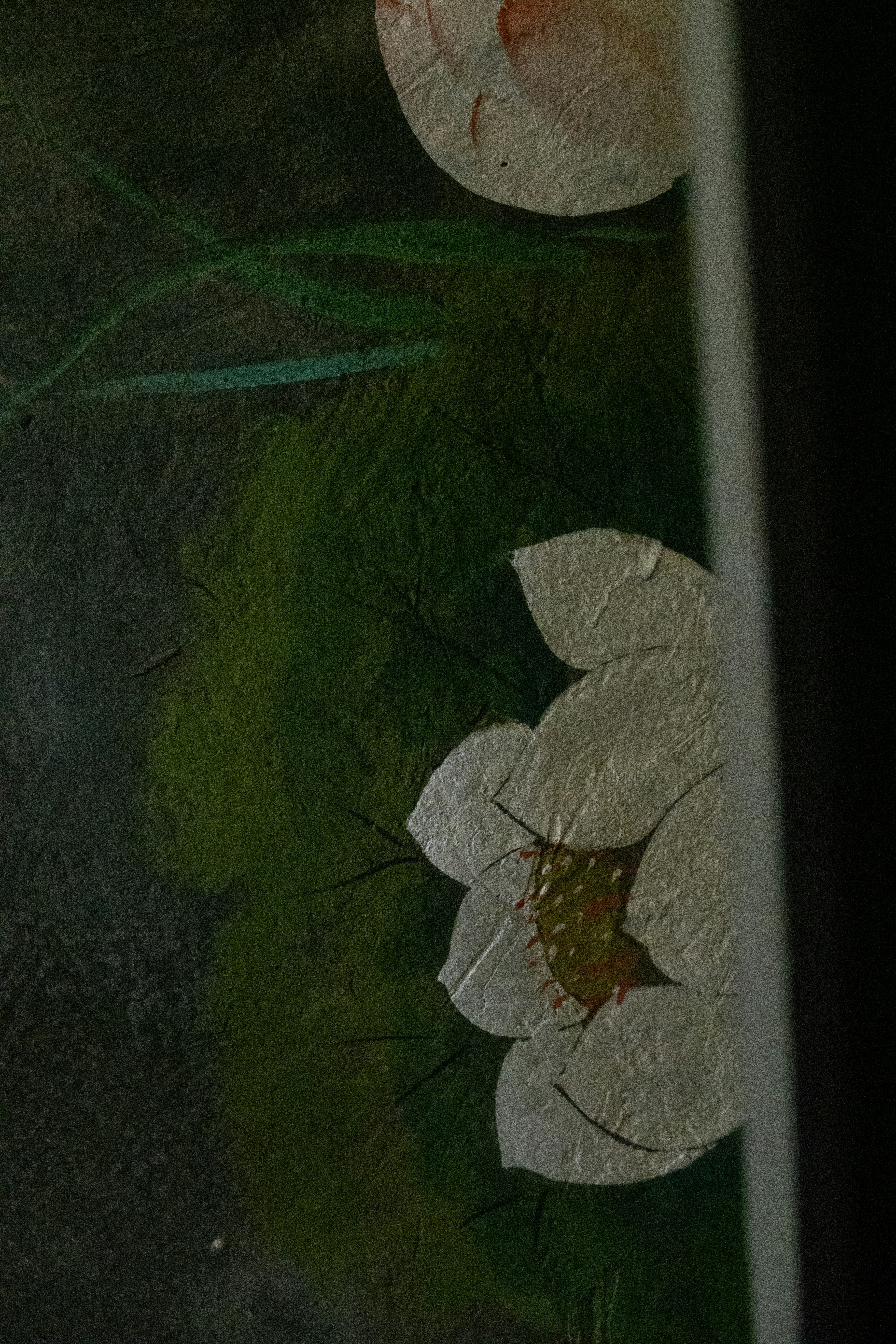 Petals on a Painted Surface: Hidden Flora in Dim Light