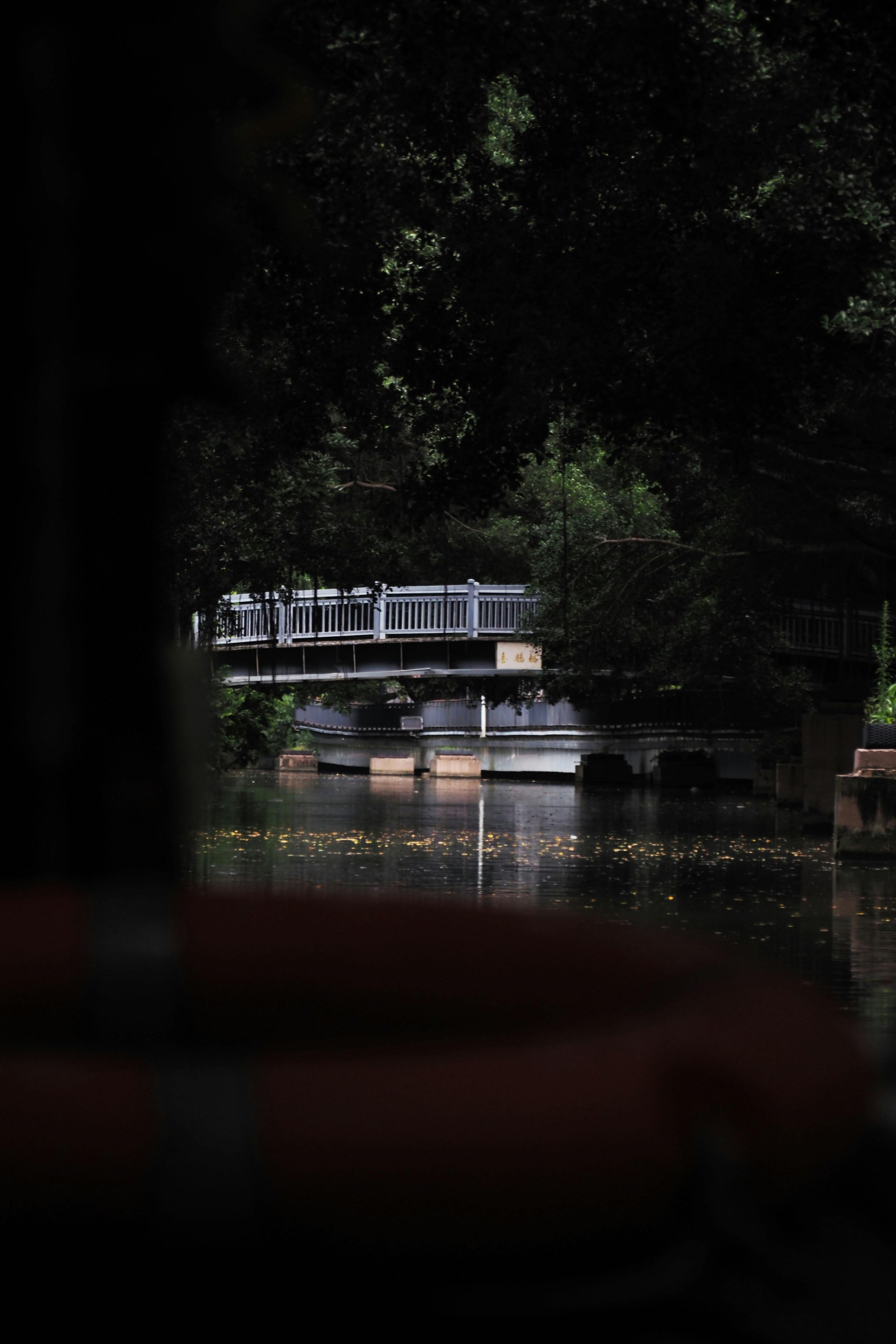 Nightmare on the Riverbank: A Quiet Bridge in Shadowed Water