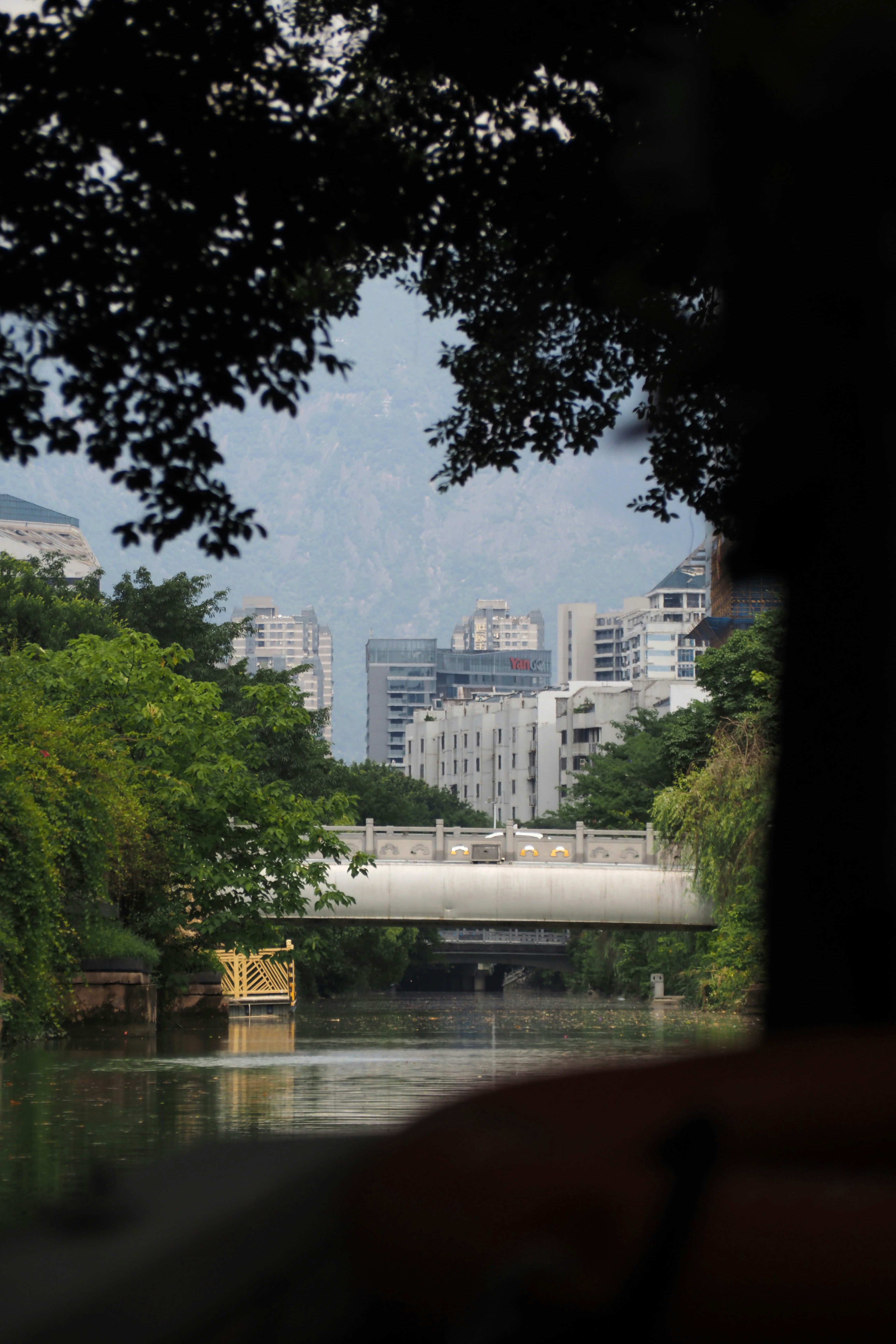 Cityscape Through the Arbor: River, Bridge and Distant Buildings Framed by Dark Overhanging Foliage