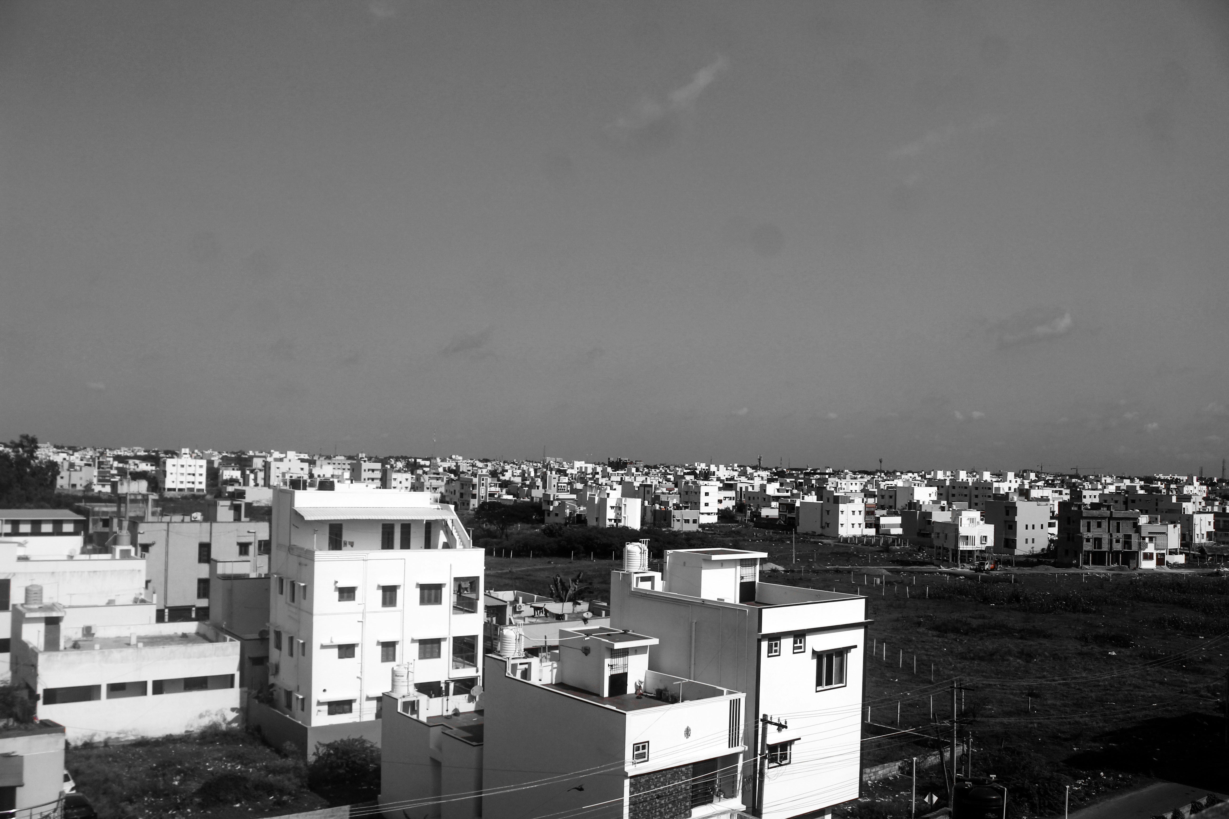 Urban Horizon: Quiet Monochrome of Modern Flats