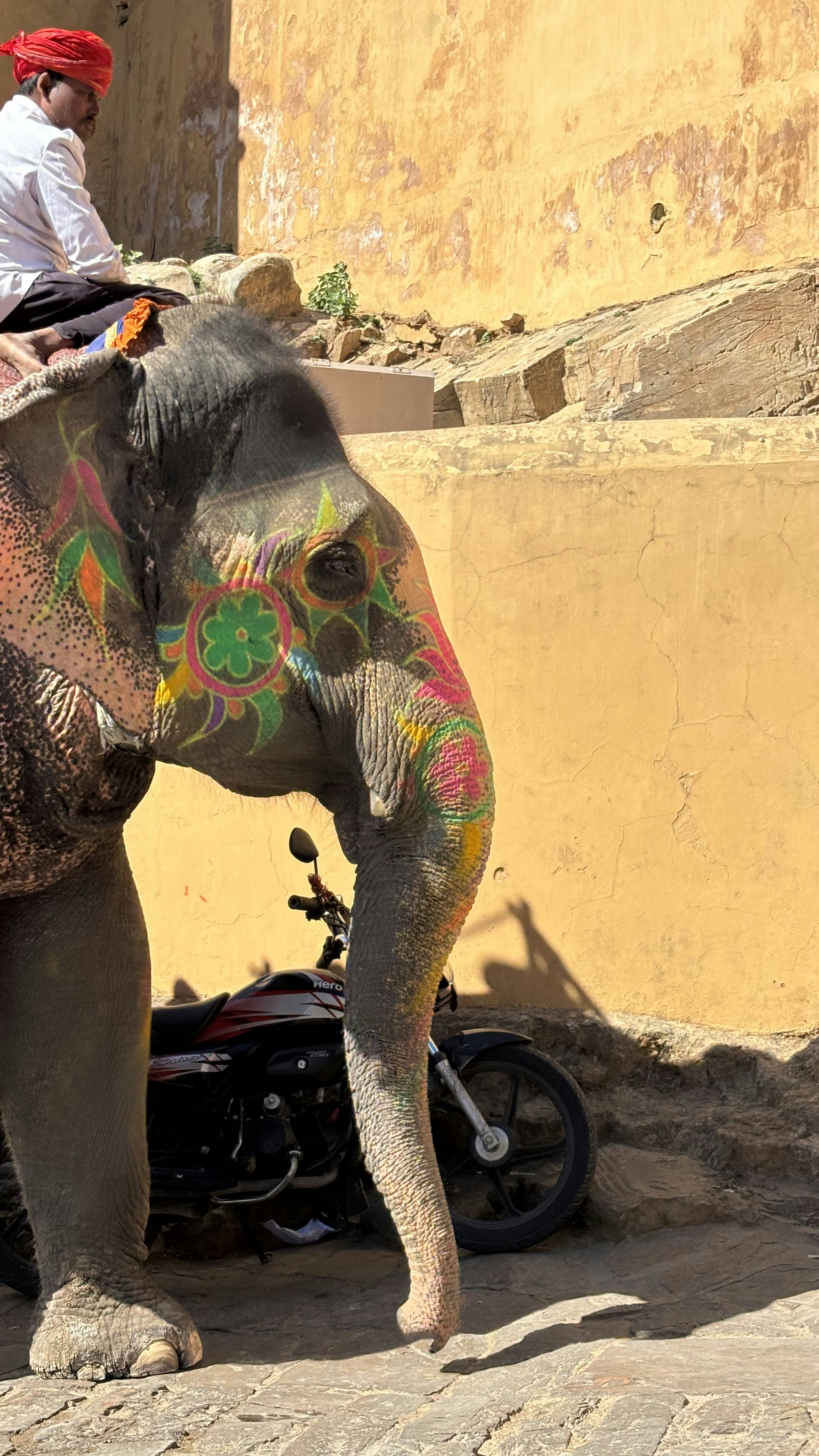 Colorful Elephant Ride: A Monk and a Painted Giant in Sunlit Street