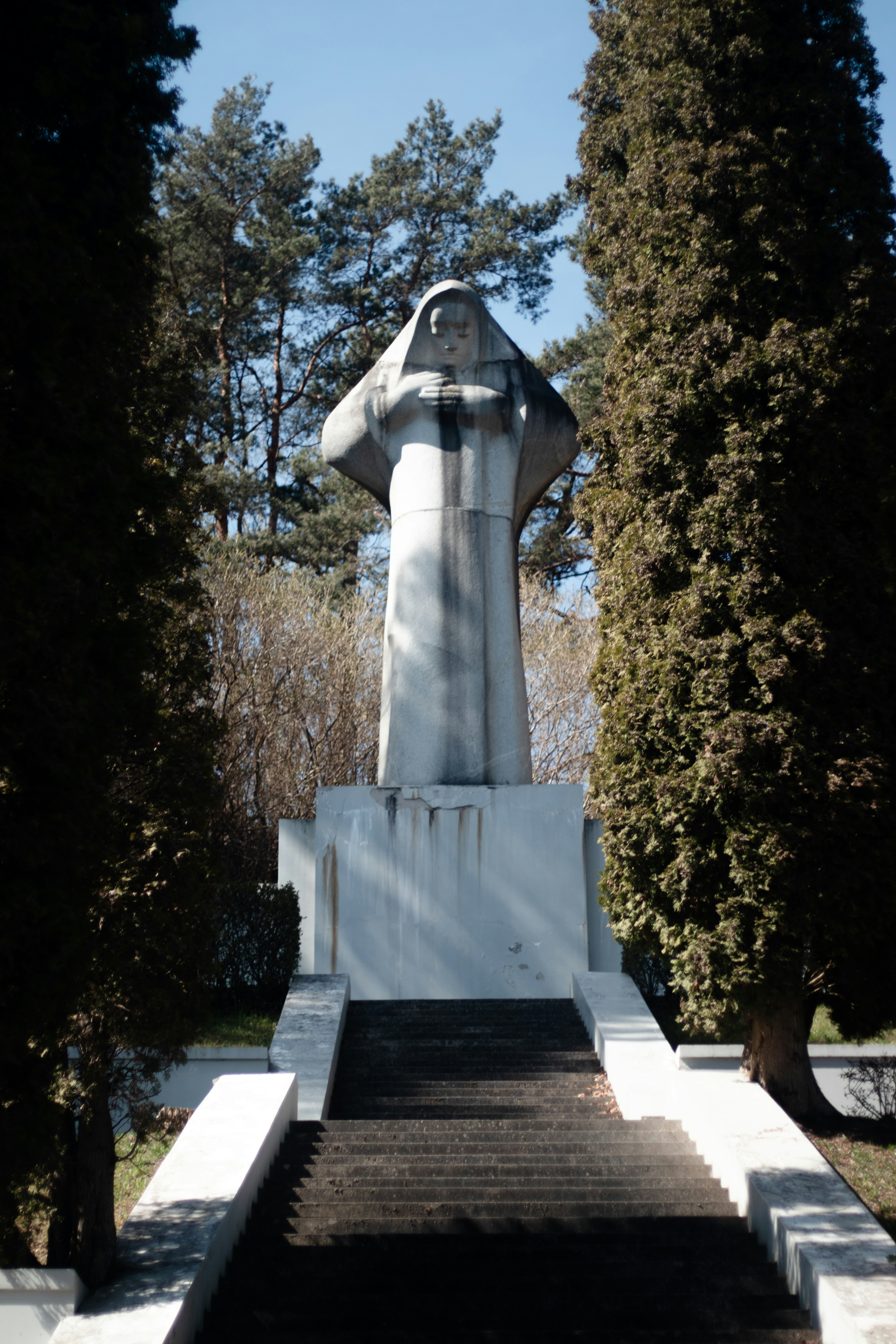 Stone Veil: A Monumental Hooded Figure Framed by Tall Pines