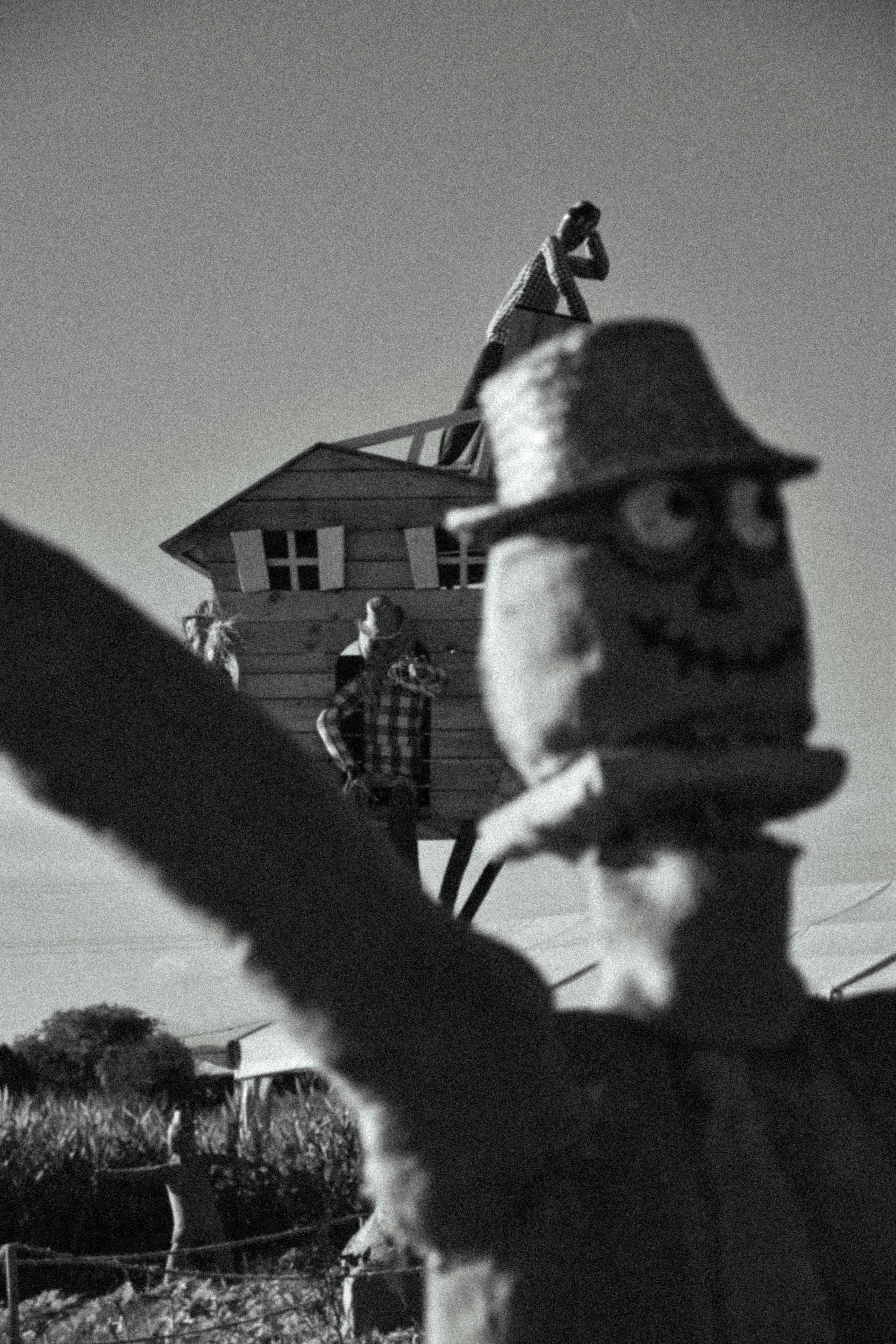 Lifeguard of the Beach House: A Playful Shadow Keeps Watch