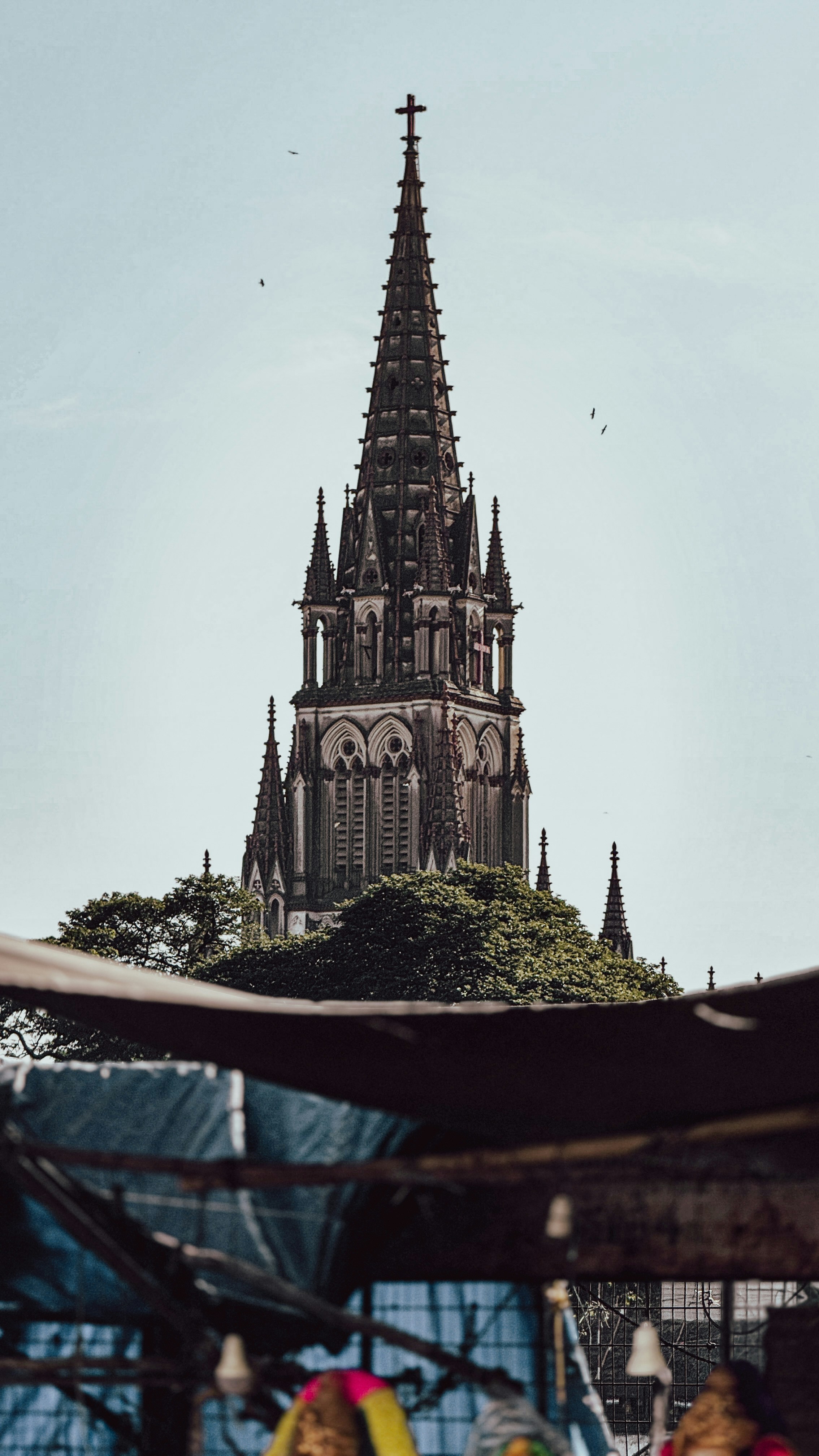 Gothic Spire Rising Above Market Canopies