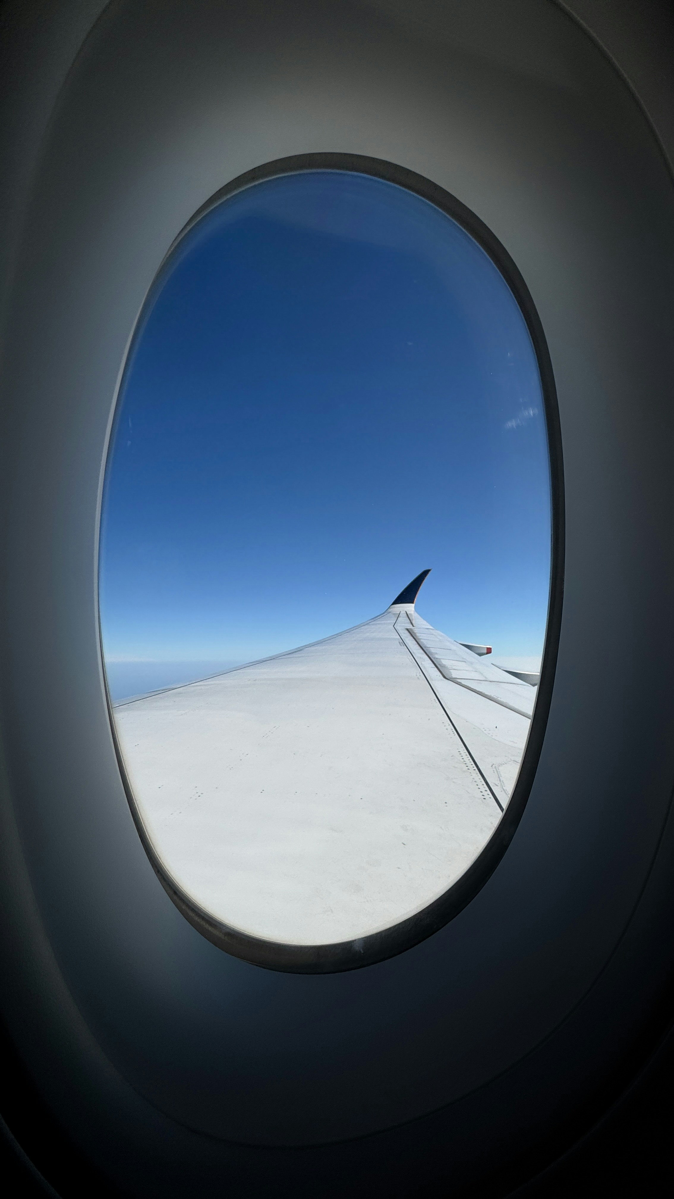 Winged Calm: A Window to Sky and Sea