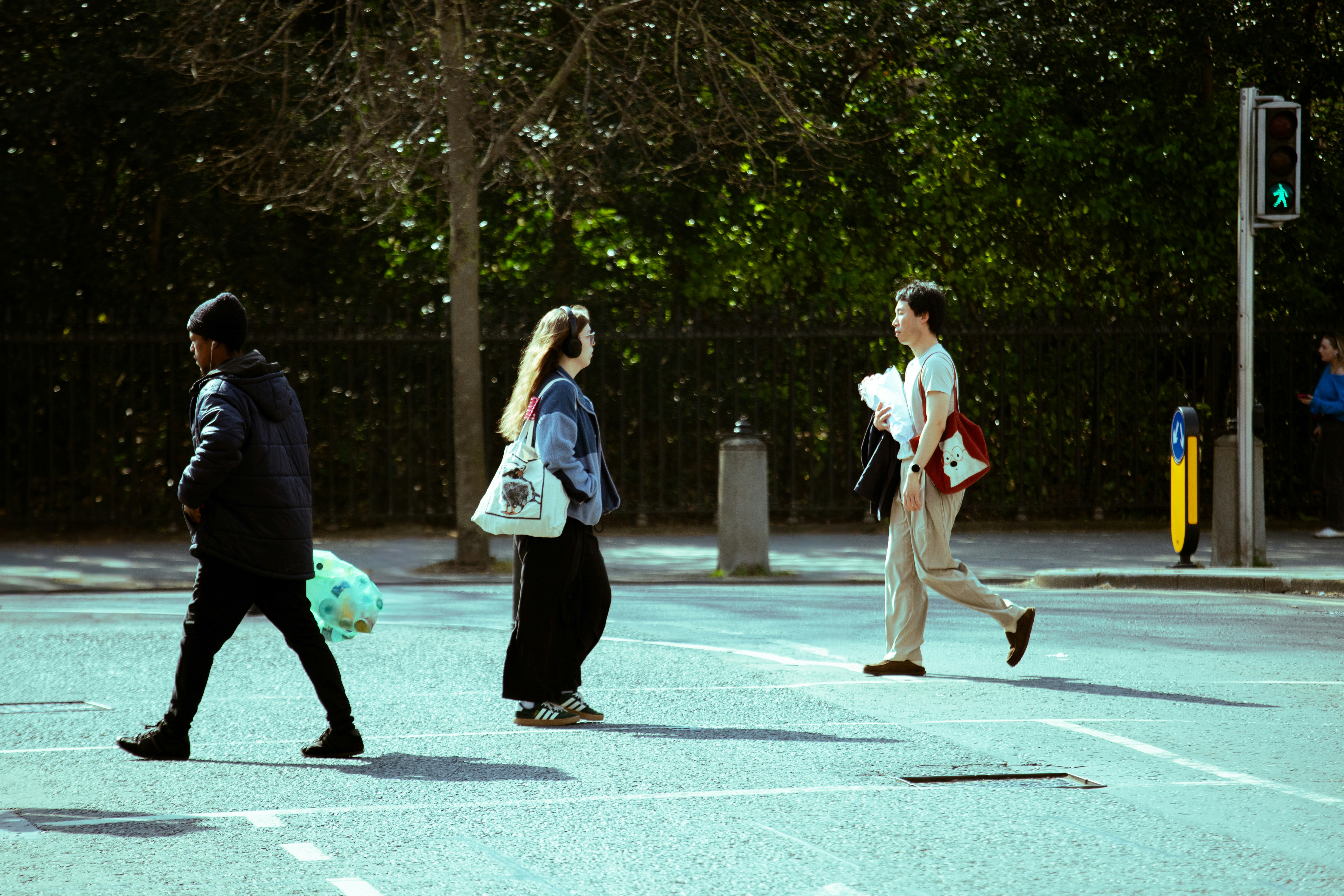 Crosswalk Moments: A Gentle Street Symphony