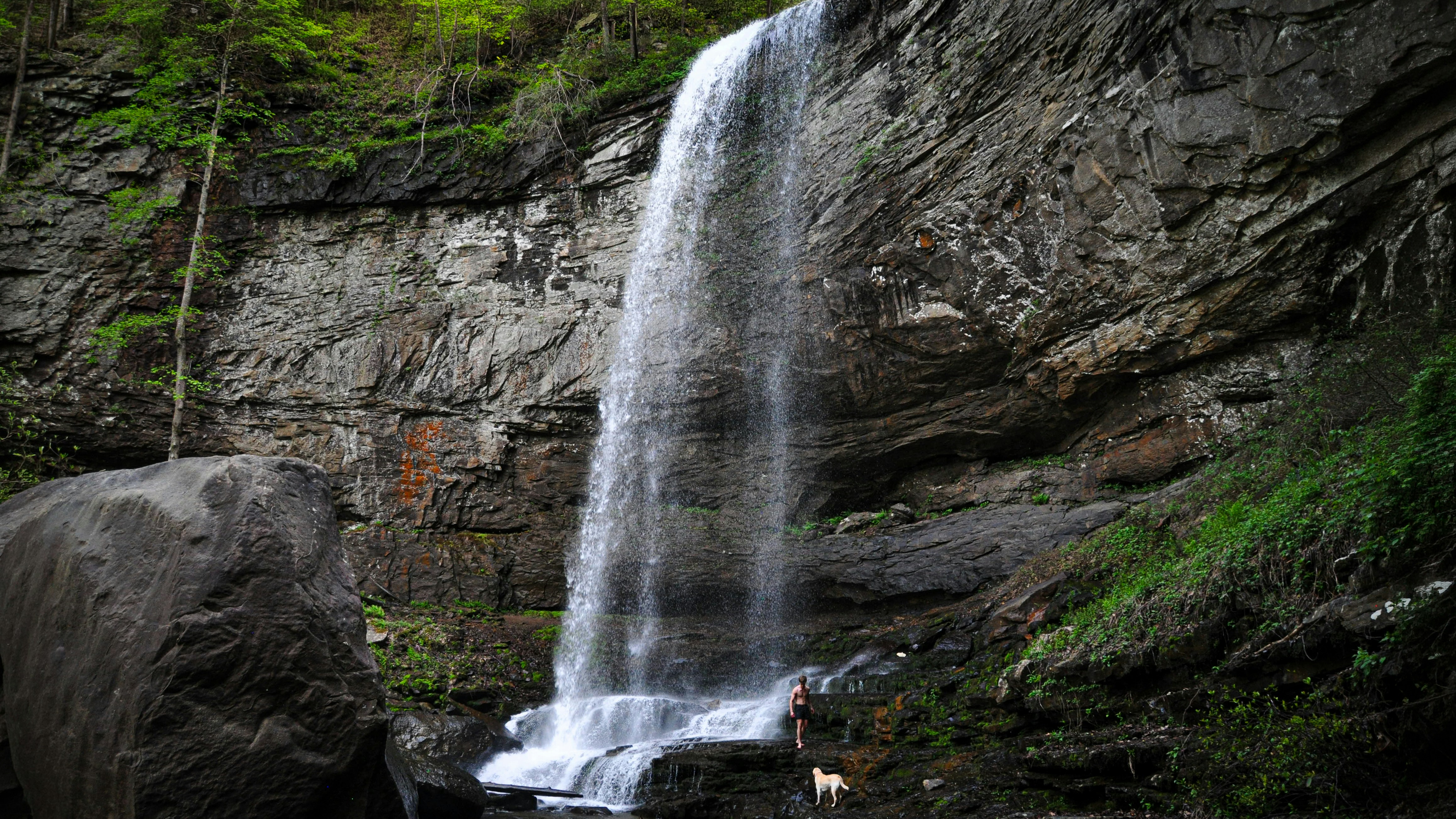 Cascading veil: a lone waterfall spilling into a mossy rock alcove