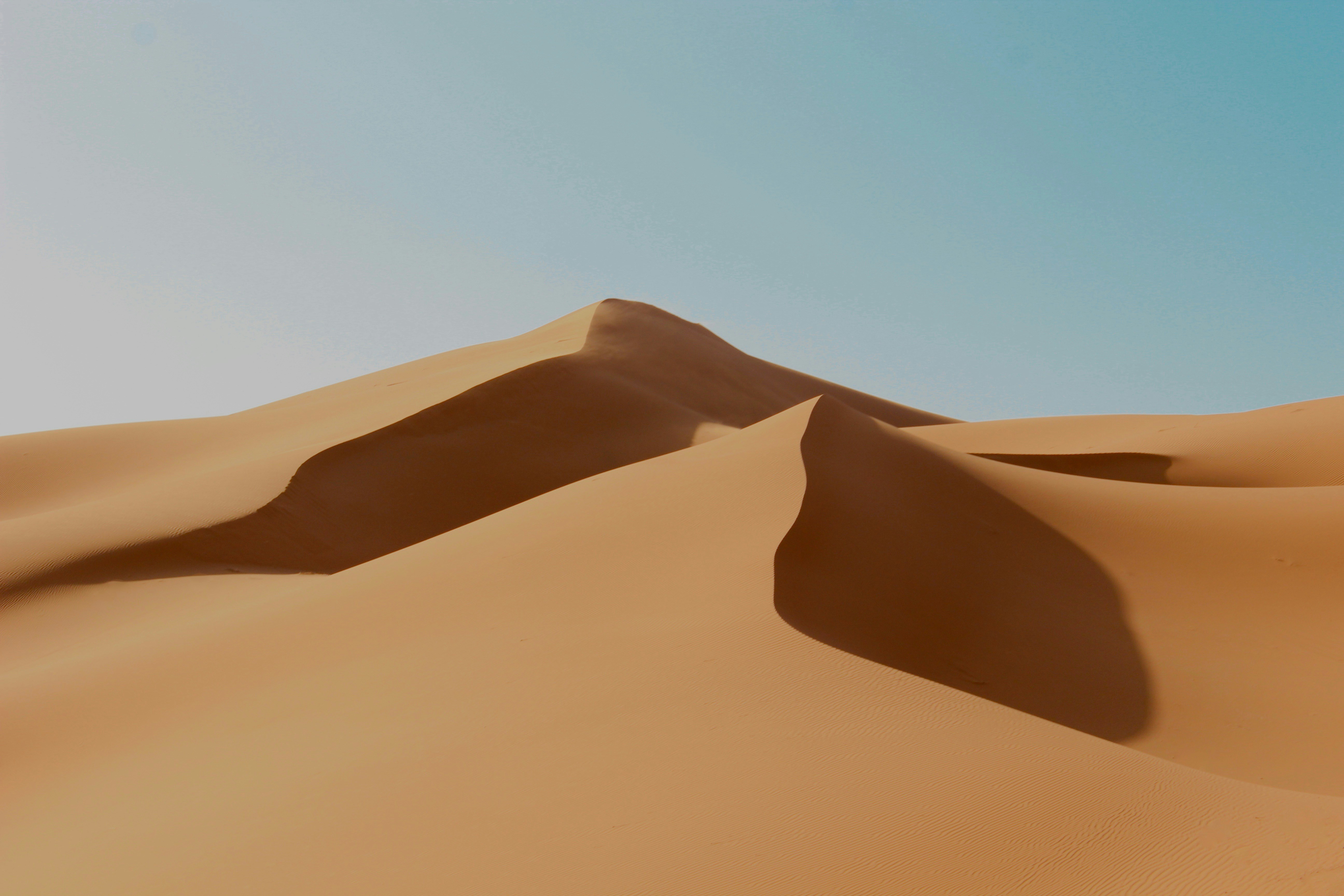 Golden Dune Crest: A Quiet Moment among Endless Hills