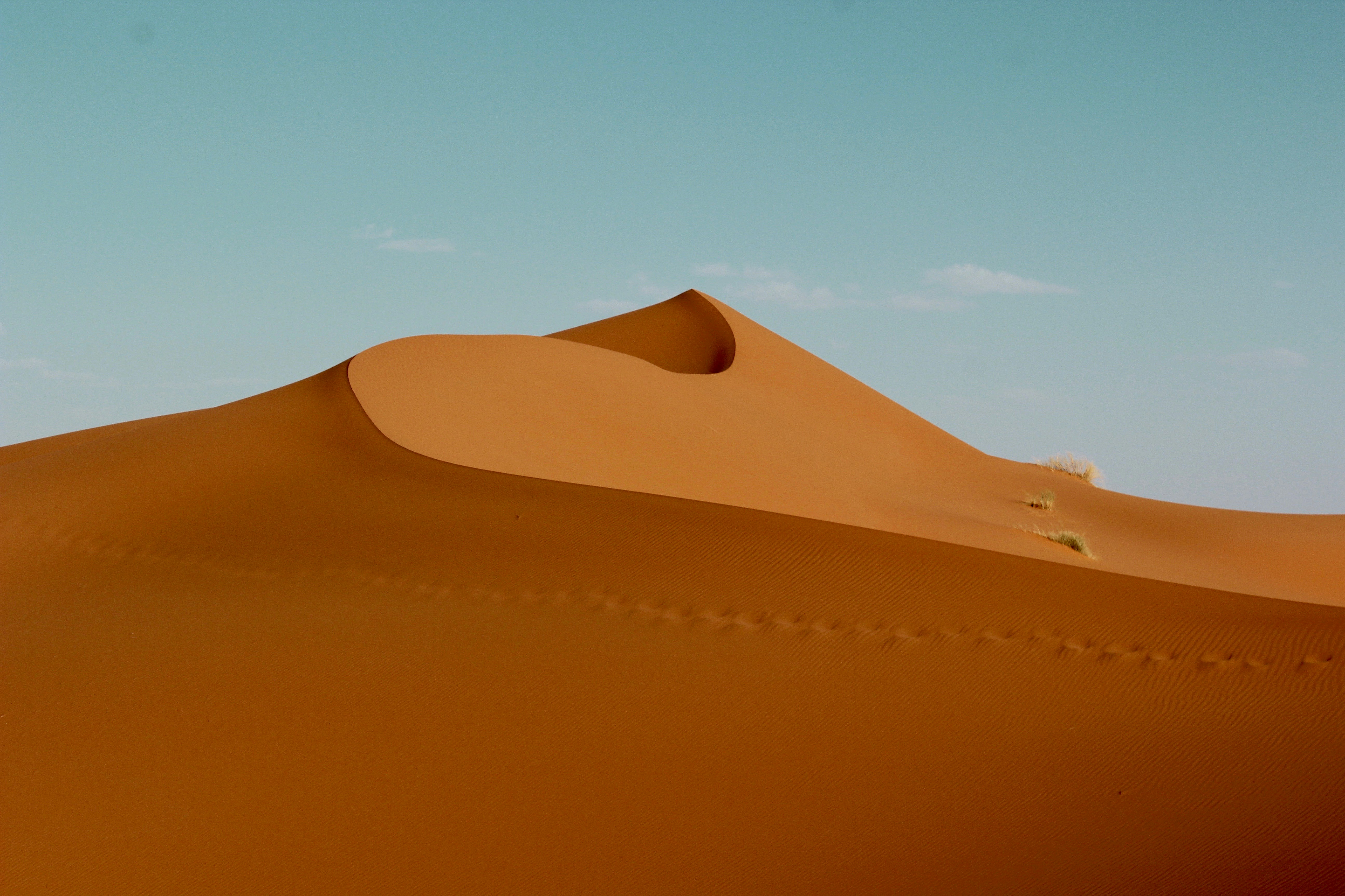 Lone Dune Crest Under a Clear Desert Sky