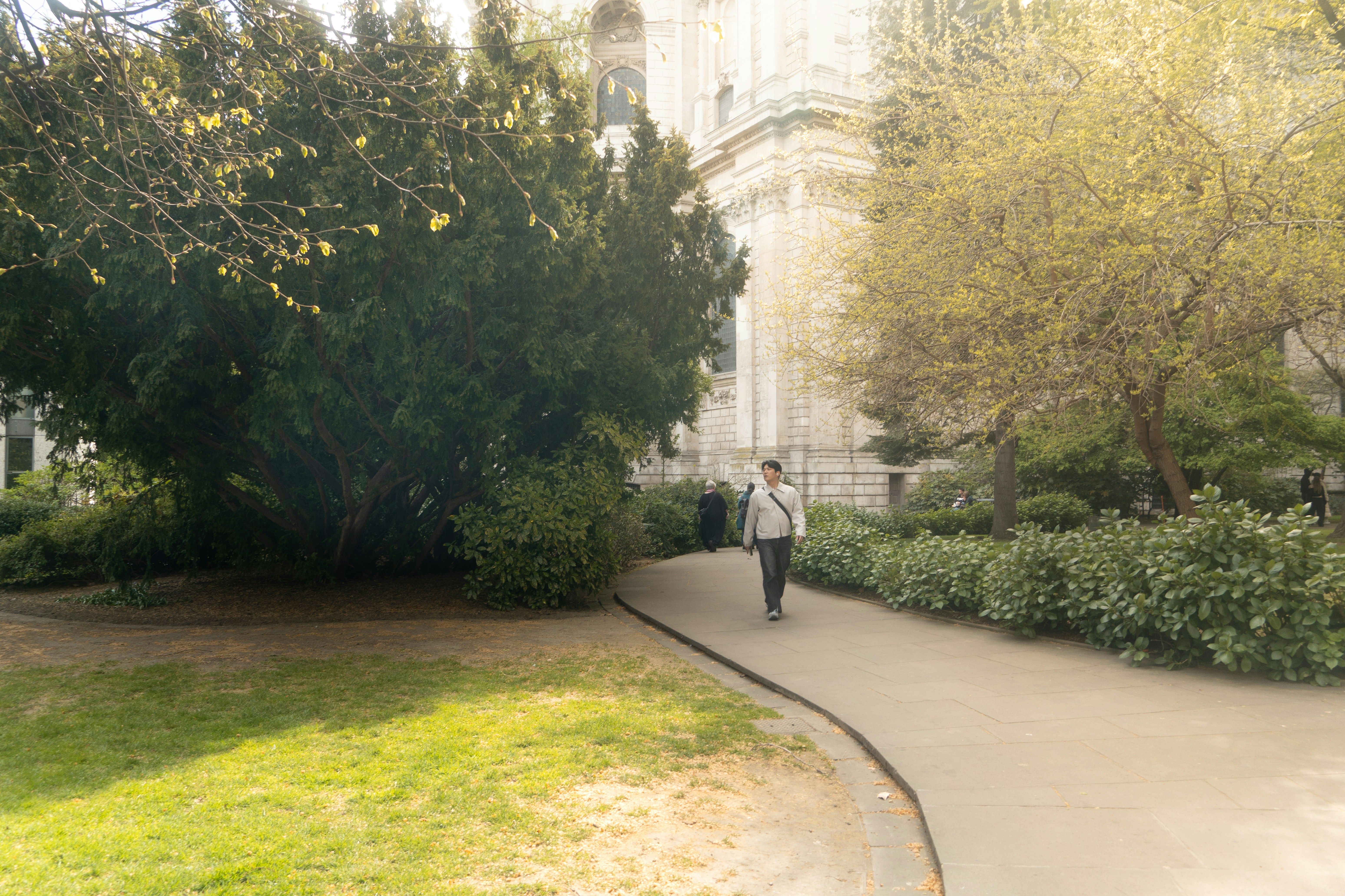 Campus Pathway: A Quiet Moment Beside the Grand Facade