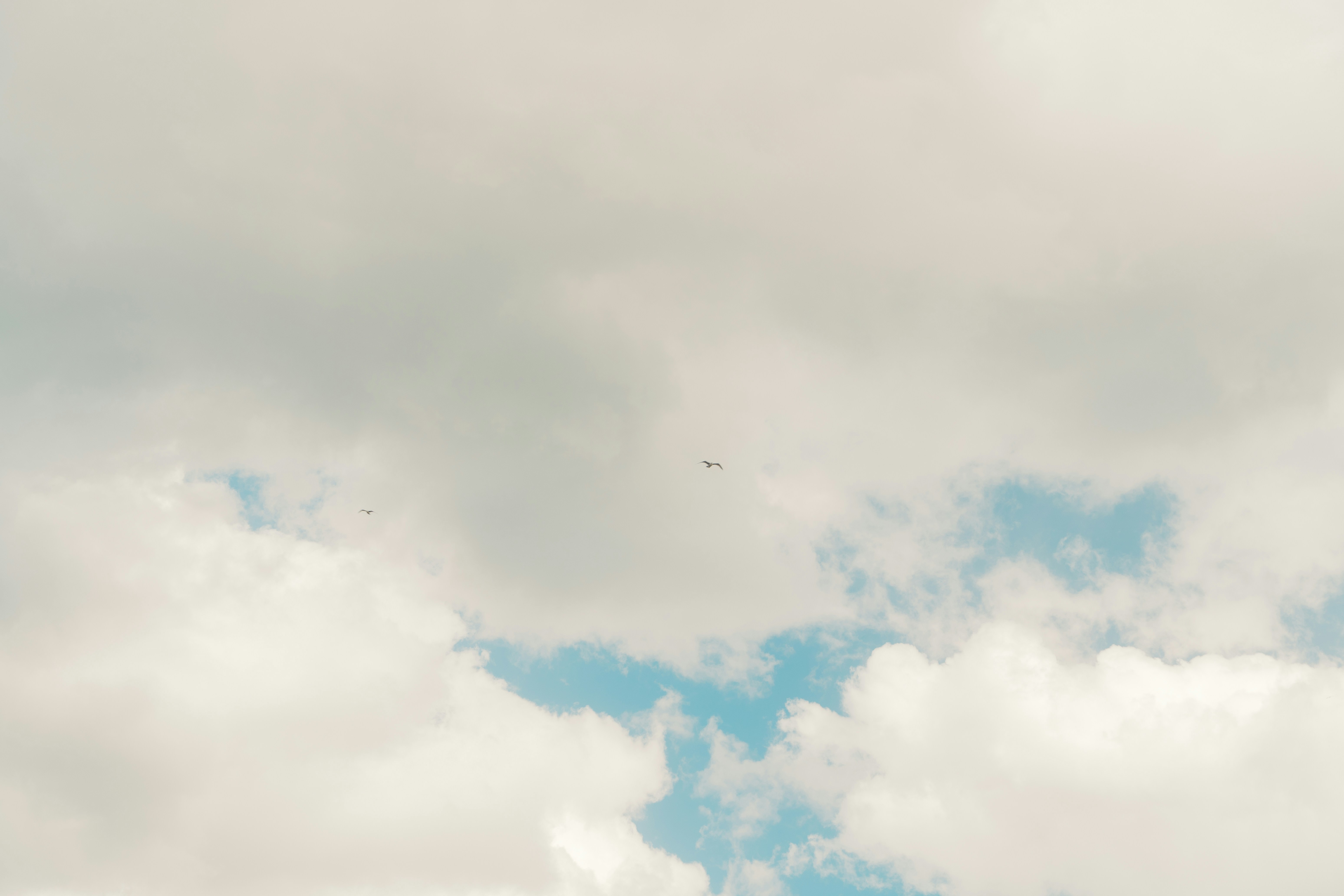 A solitary speck against the vast pale sky