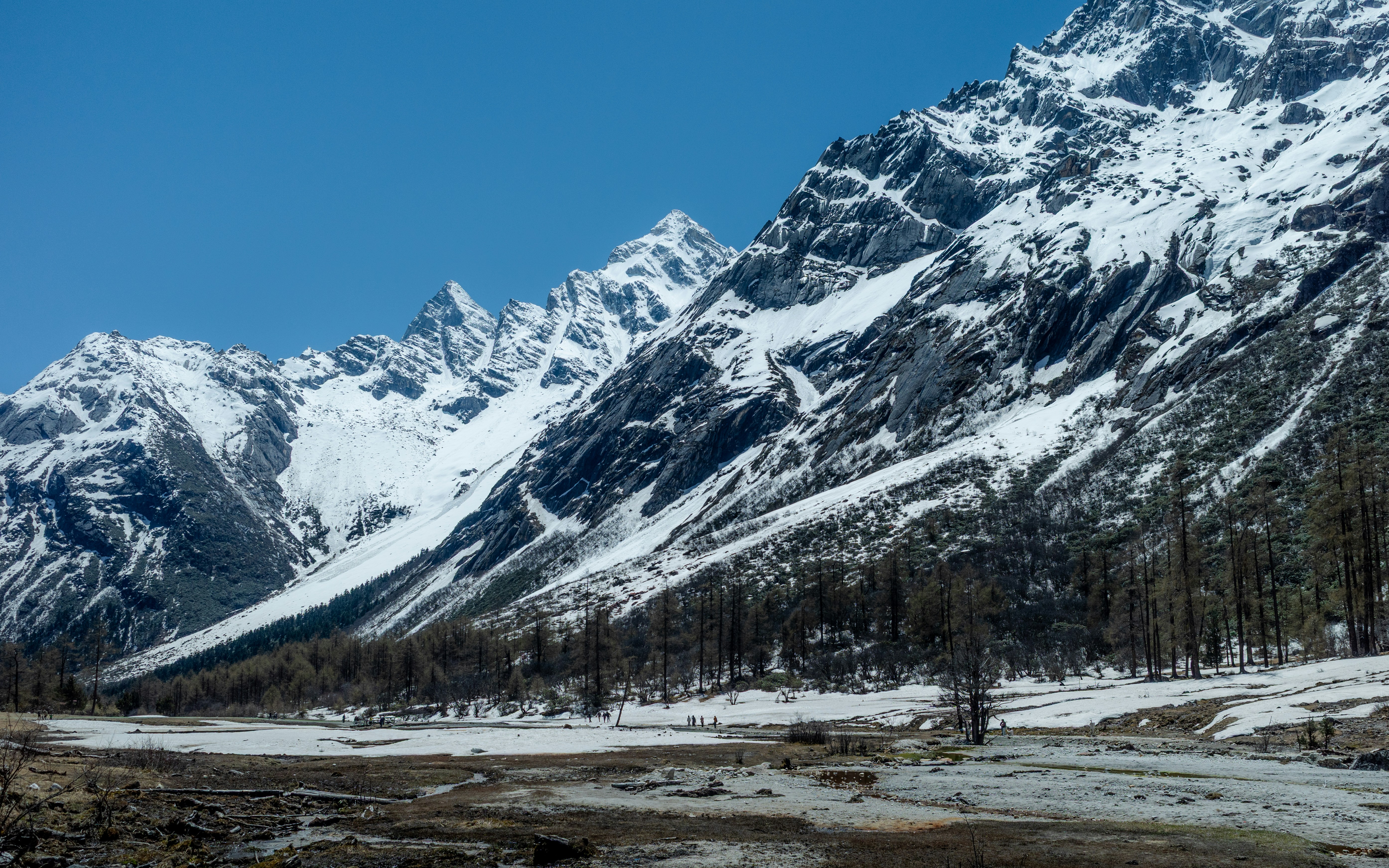 Snow-kissed Peaks Over a Quiet Foreshore