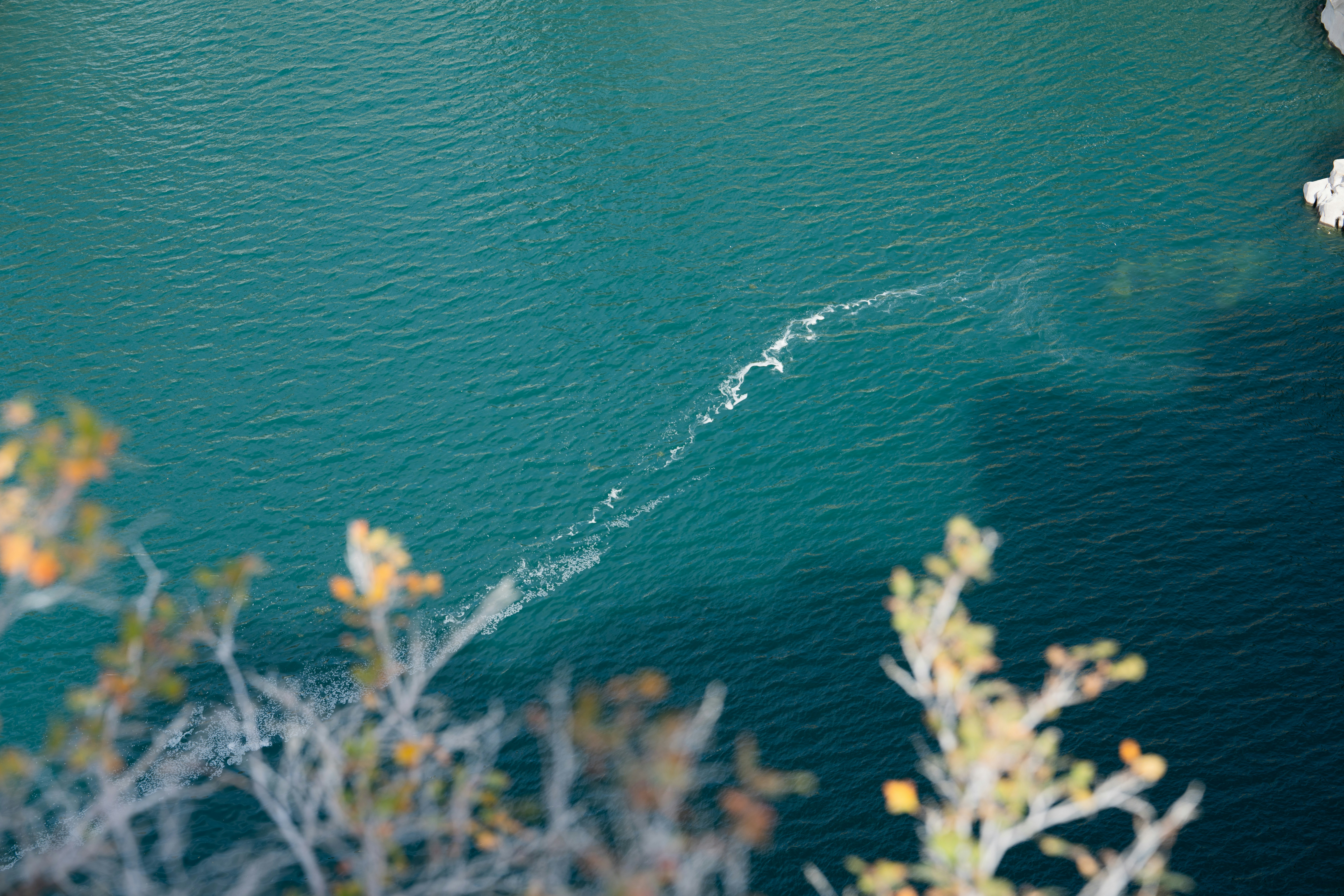 Crimson-tinged Coastal Pathover: A Narrow View Over Quiet Turquoise Waters