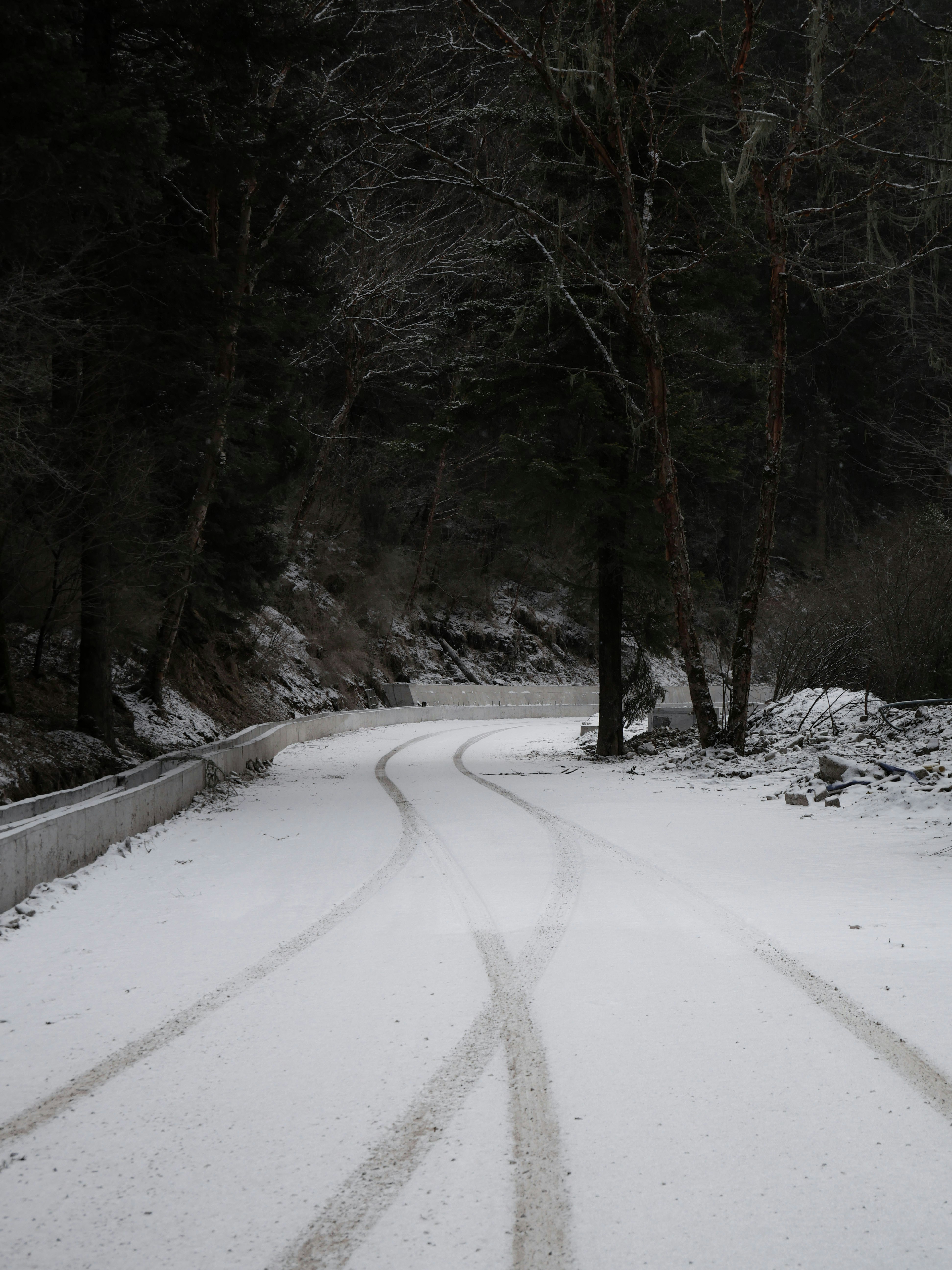 Snowbound Hairpin: A Quiet Road Winding Through Icy Pines