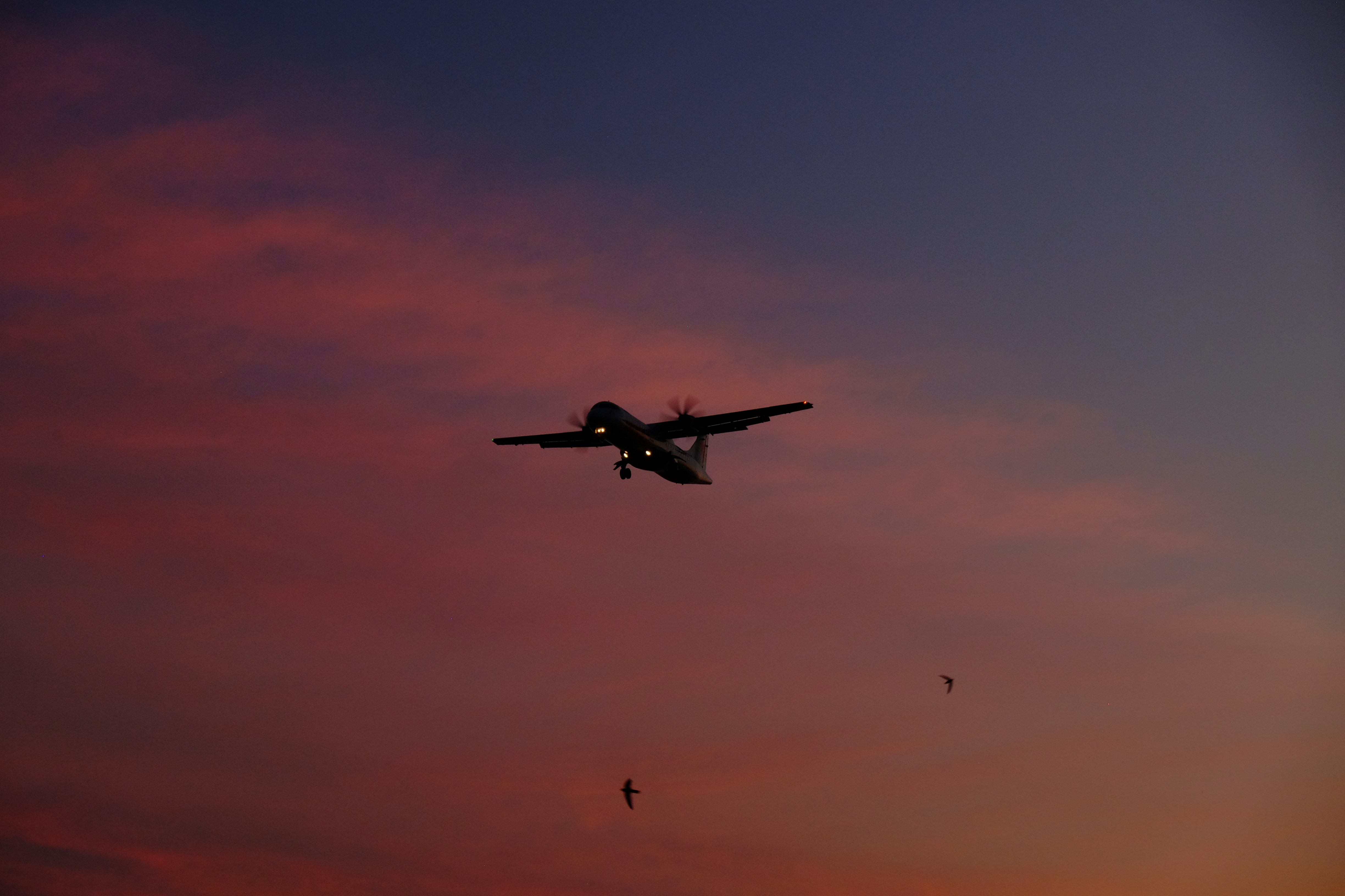 Silhouette Descent: A Jet Nets the Evening Sky