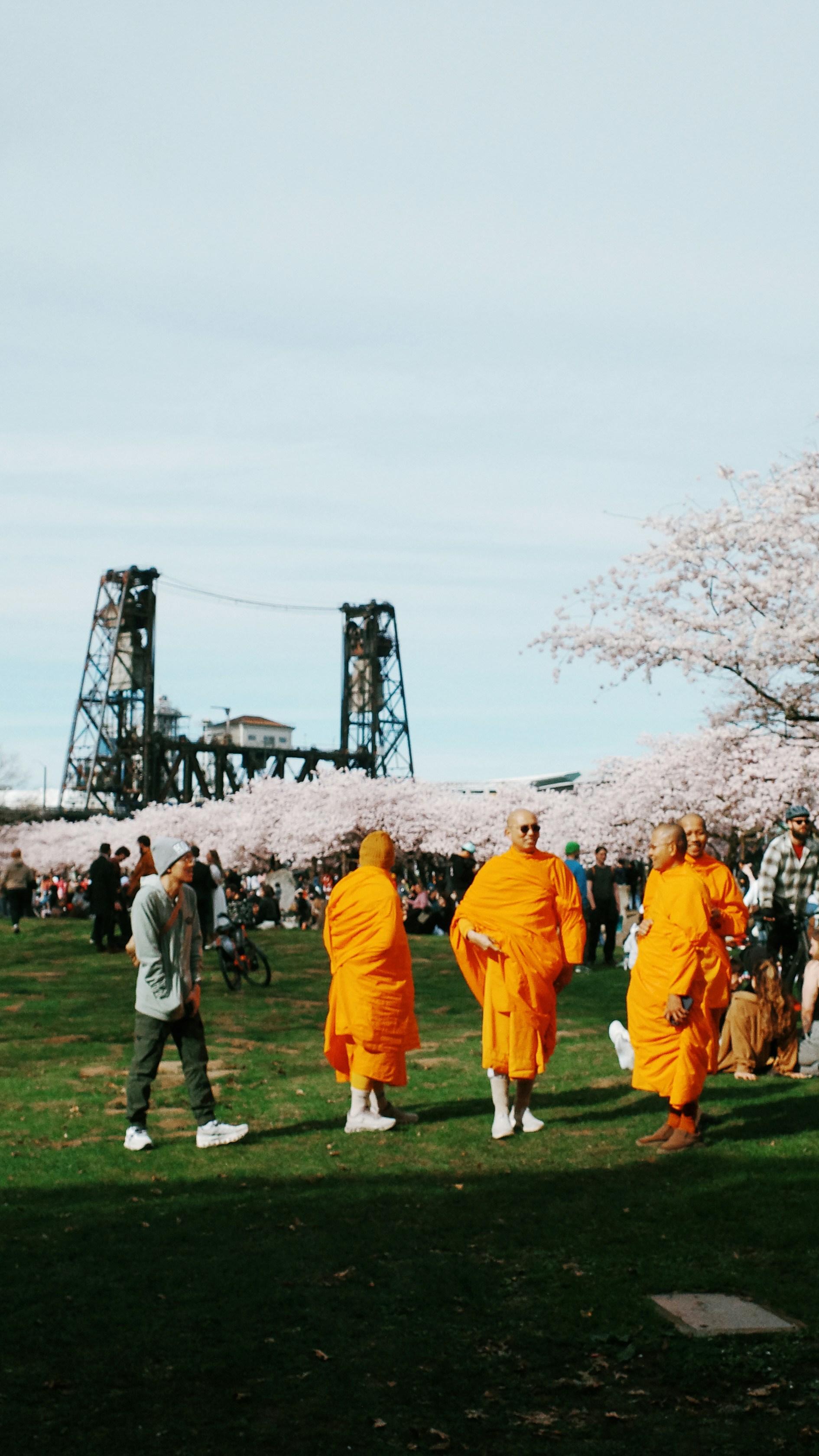 Orange Robes in Tompkins Park Under Floral Canopy