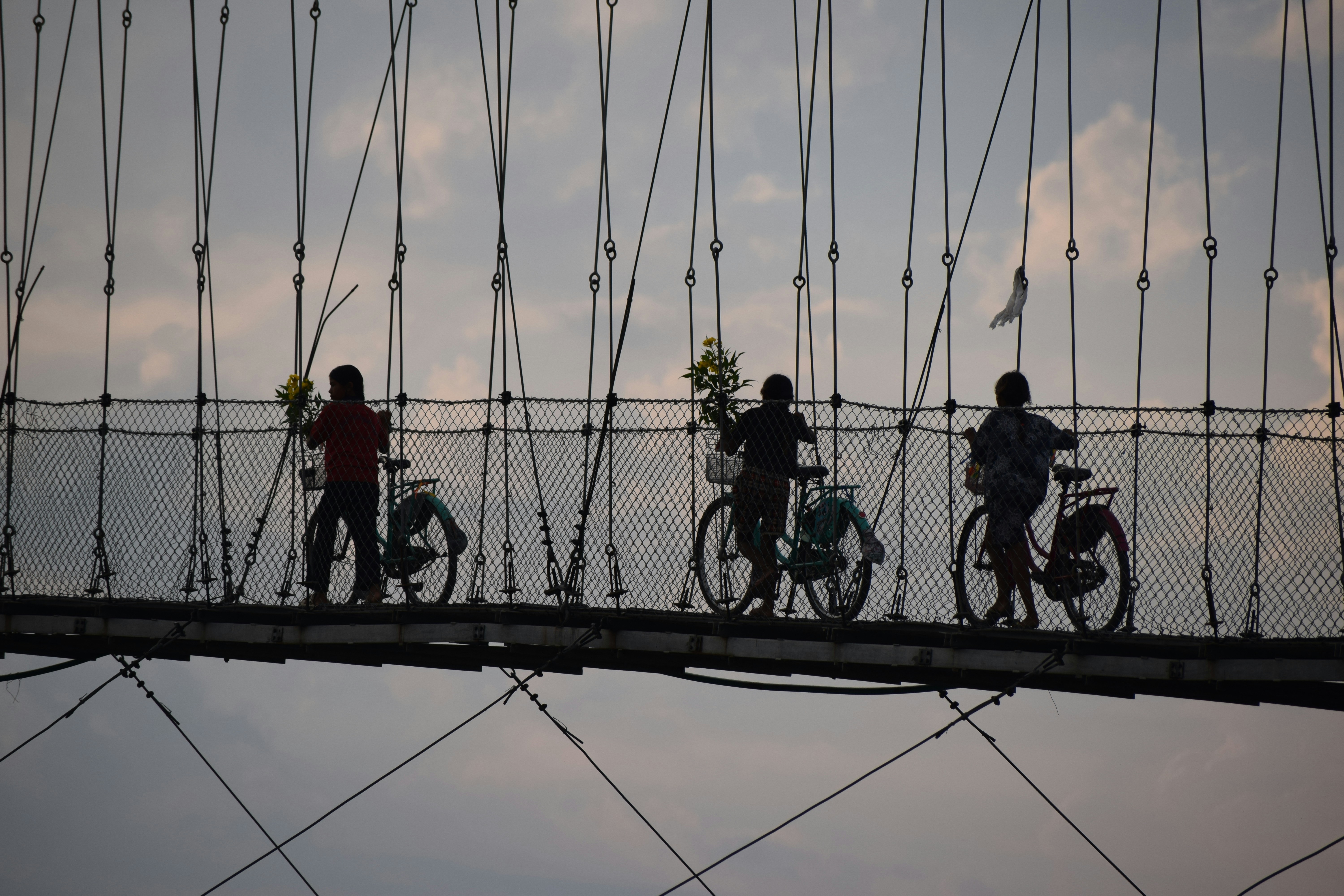 Silhouetted Cyclists on a Cable Bridge at Dusk