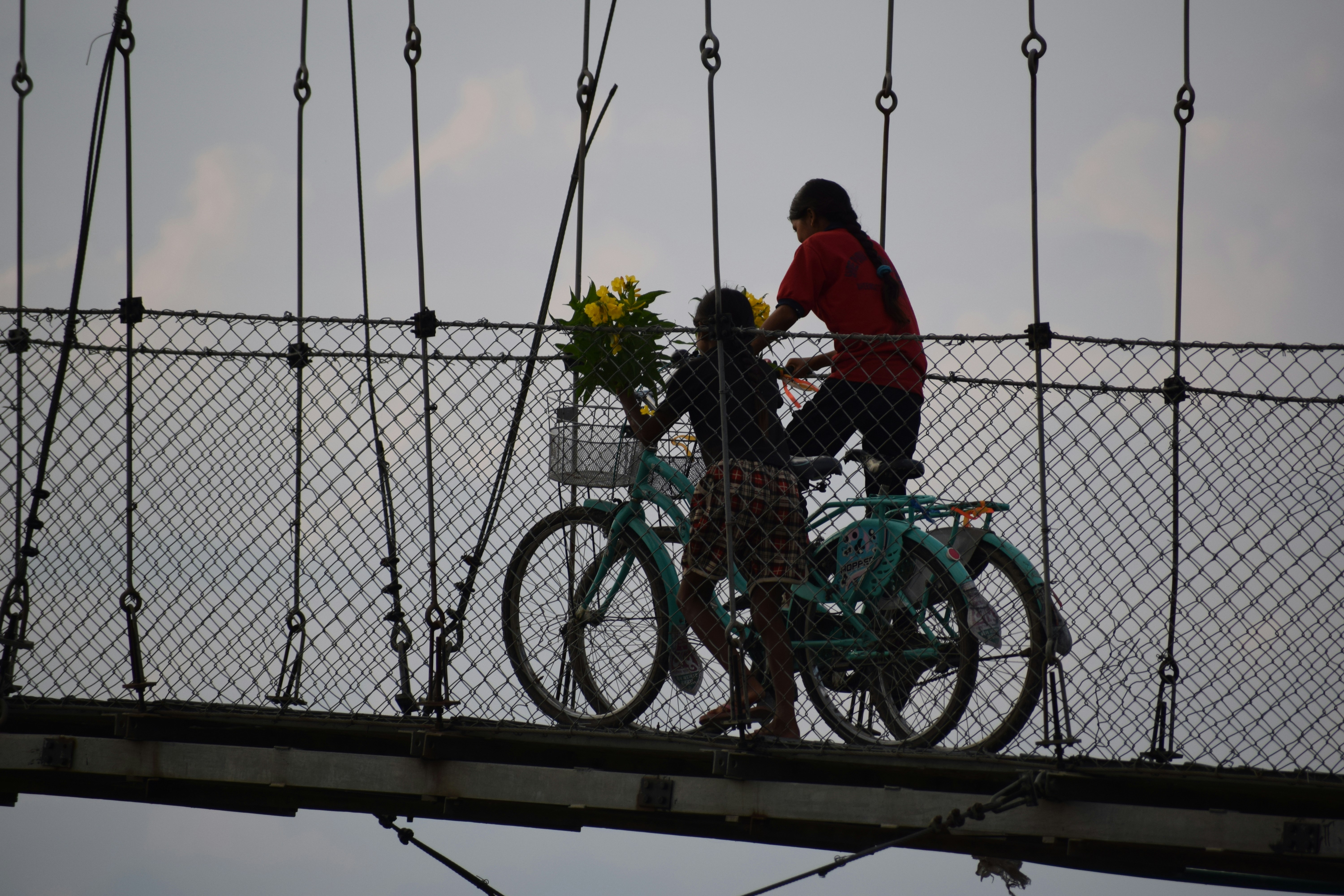 Flowered ride across the suspended veil