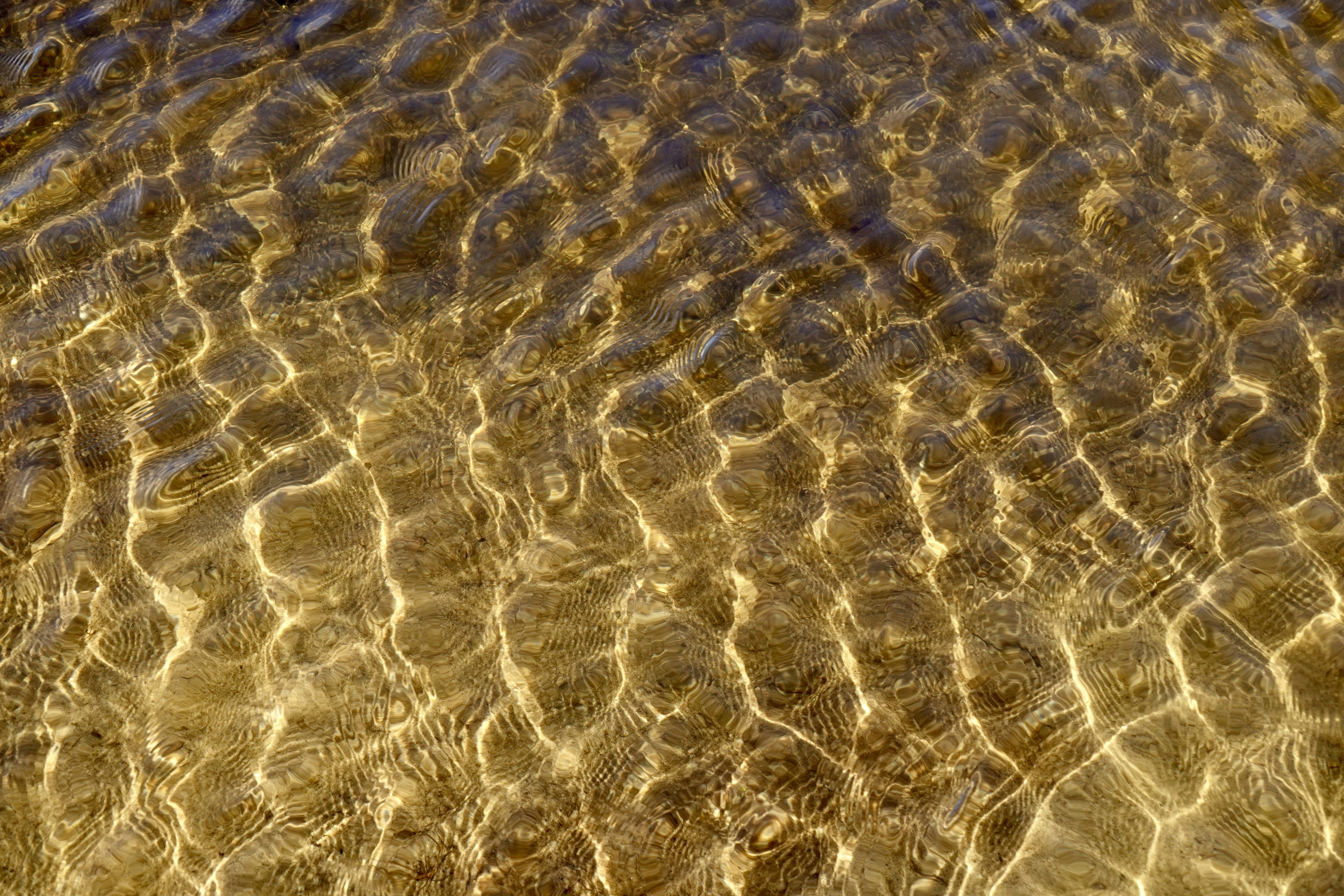 Golden Ripples: Sunlit Tides on Clear Water