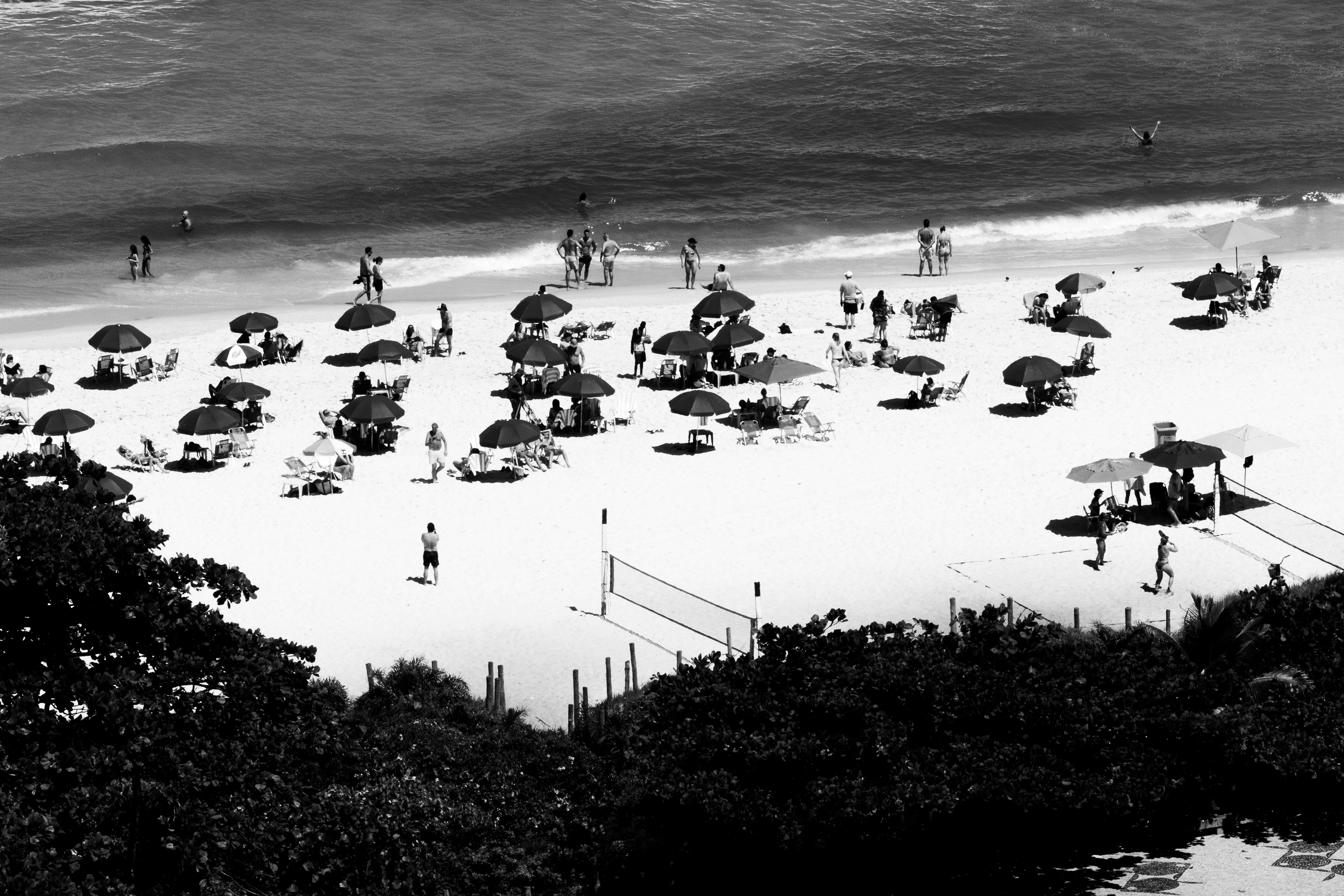 Shoreline in Shadow: Beach Umbrellas Scatter the Silver Sand