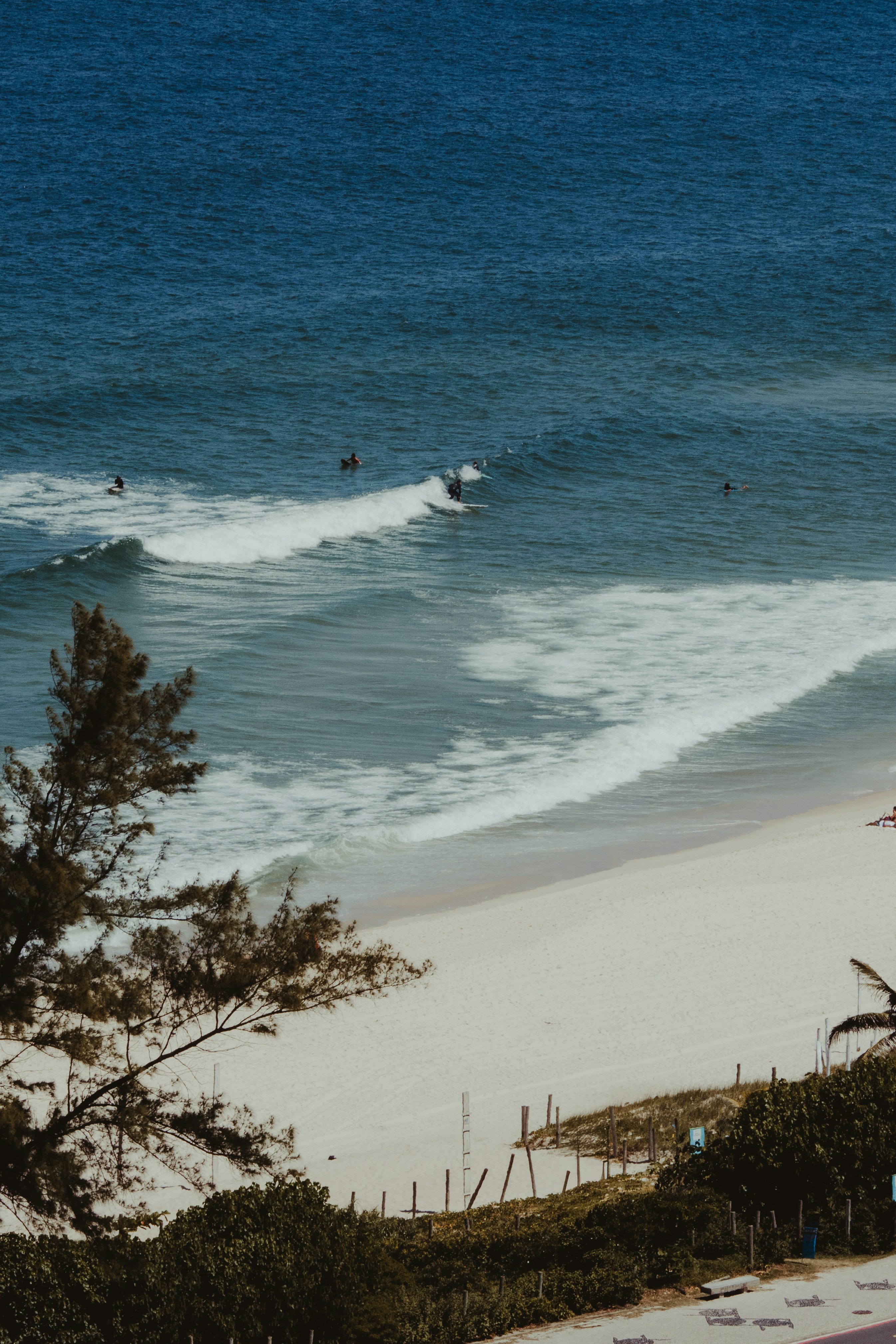 A Quiet Break: Surfers Tame the Crest at a Sunlit Shore