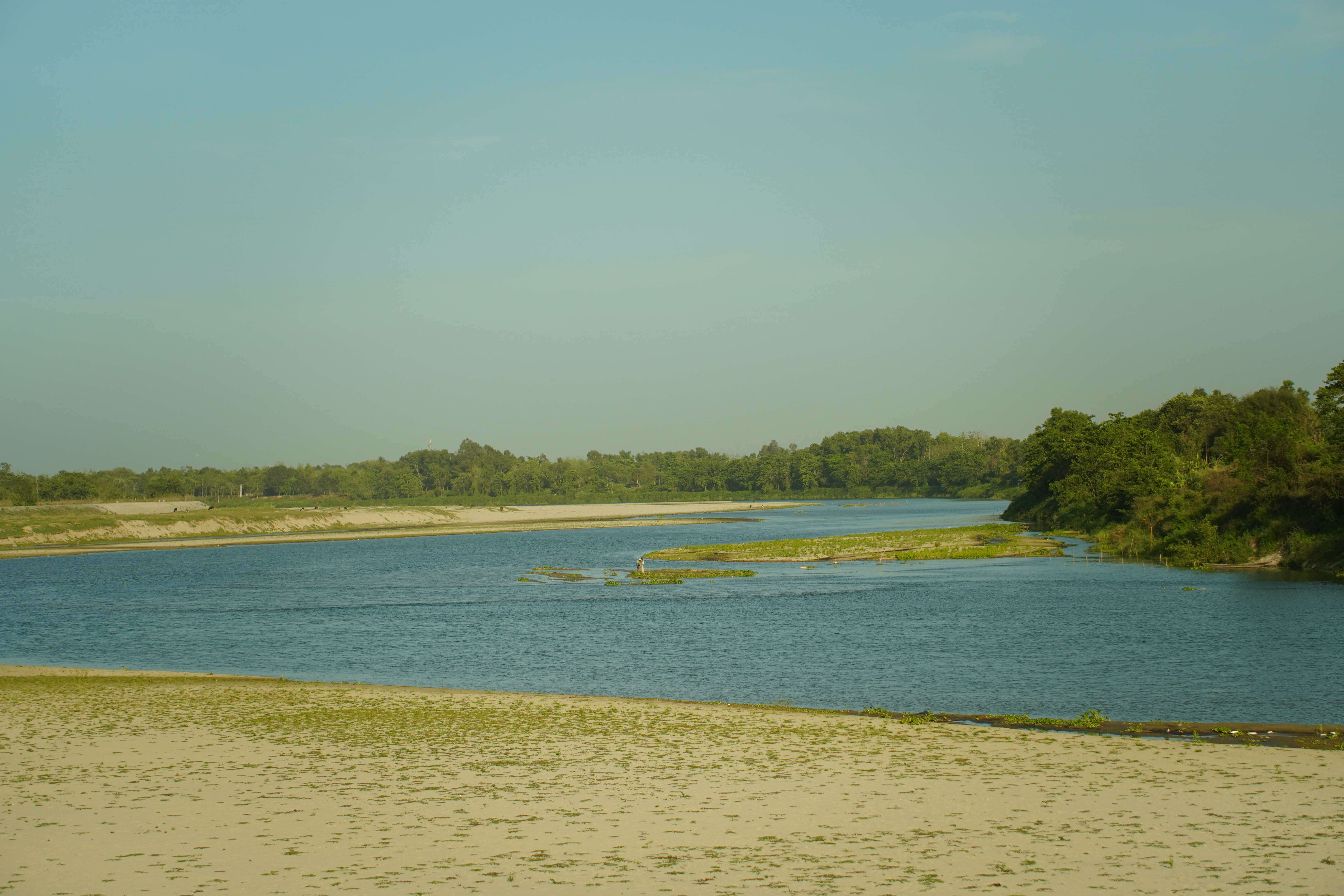 Quiet Riverbend: Sandbank Undersketch and Distant Greenery