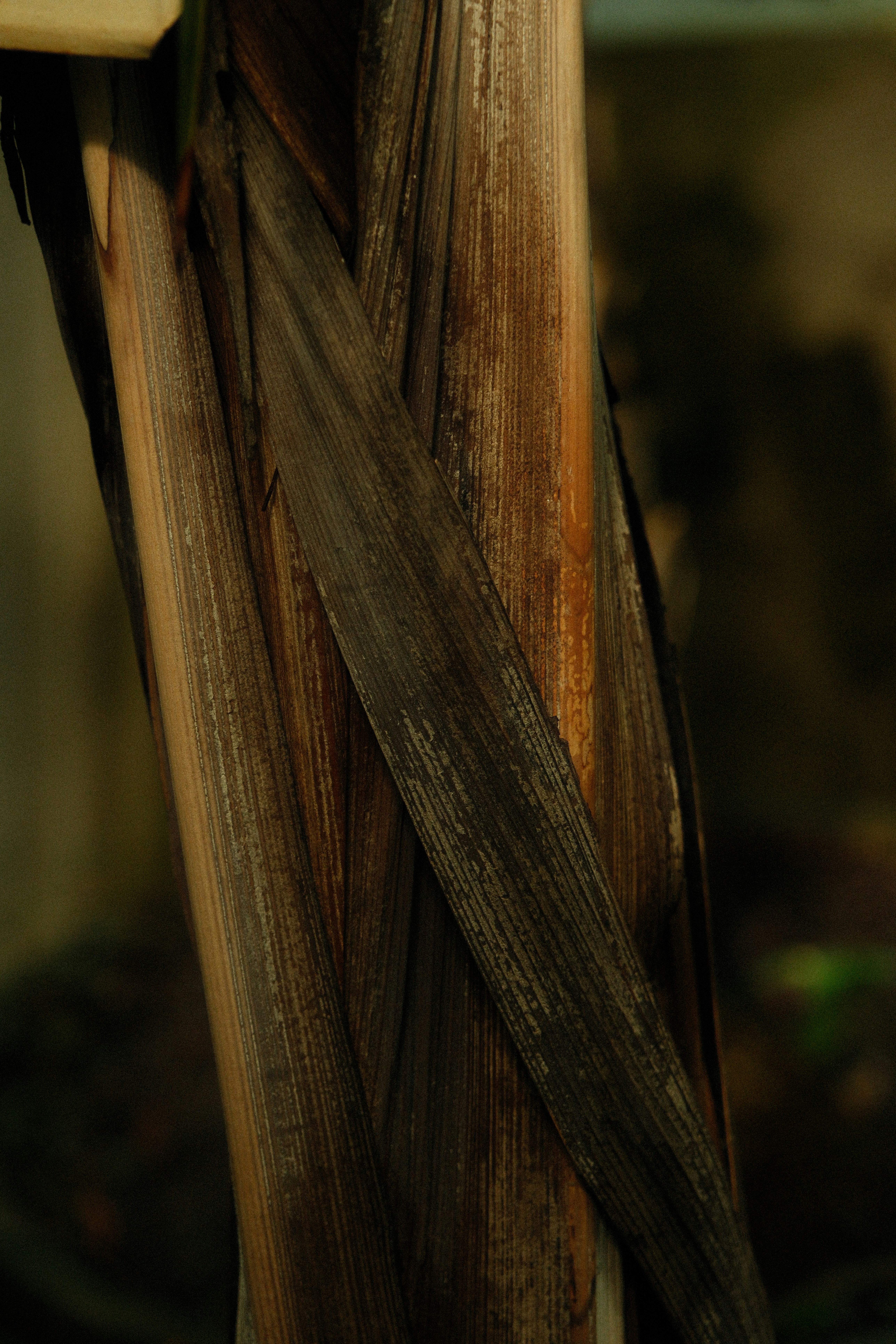 Wrapped Strands: A Close-Up of Intertwined Plant Fibers