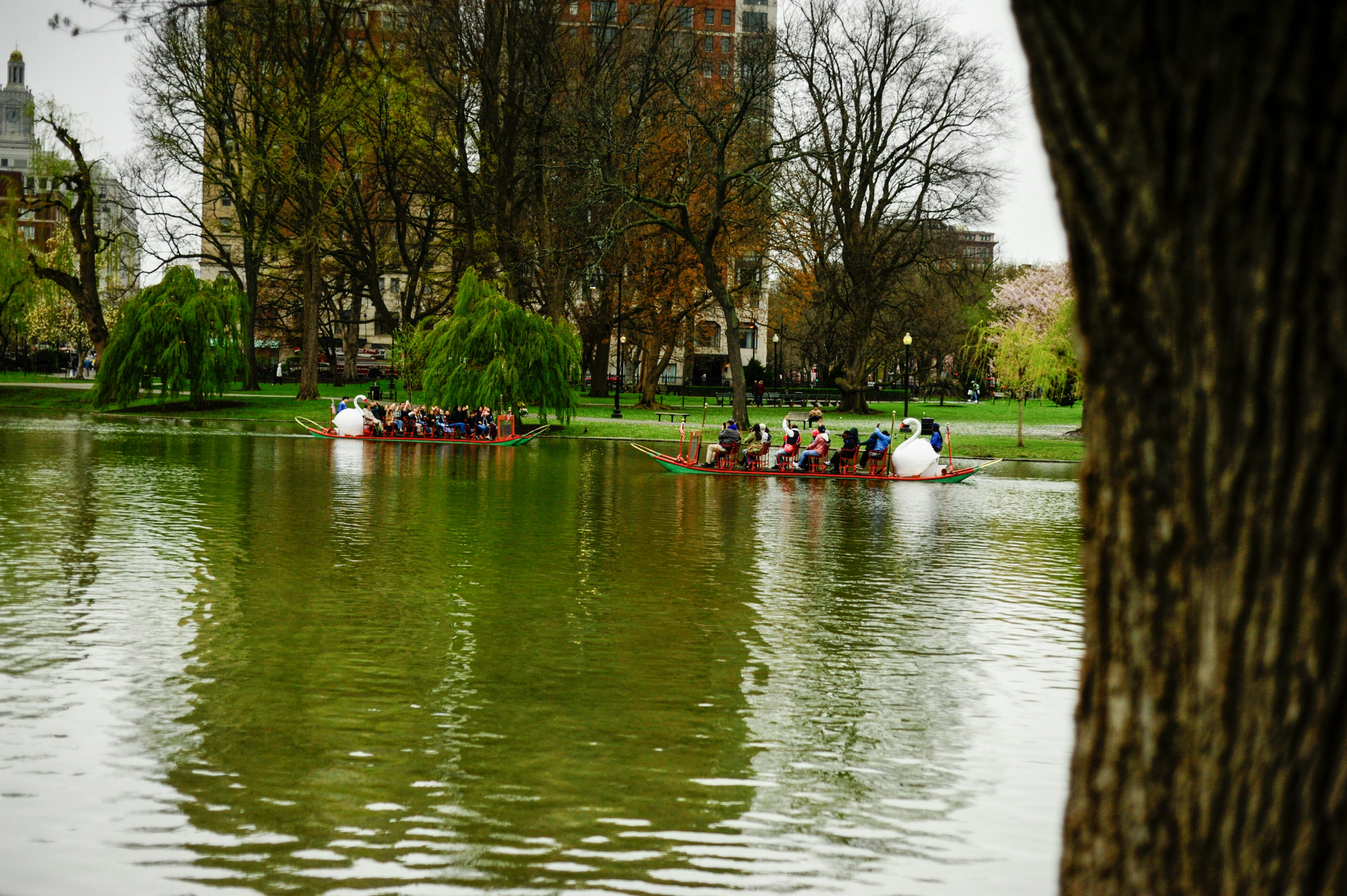 Riverboats in a City Park — Drifting Toward the Trees