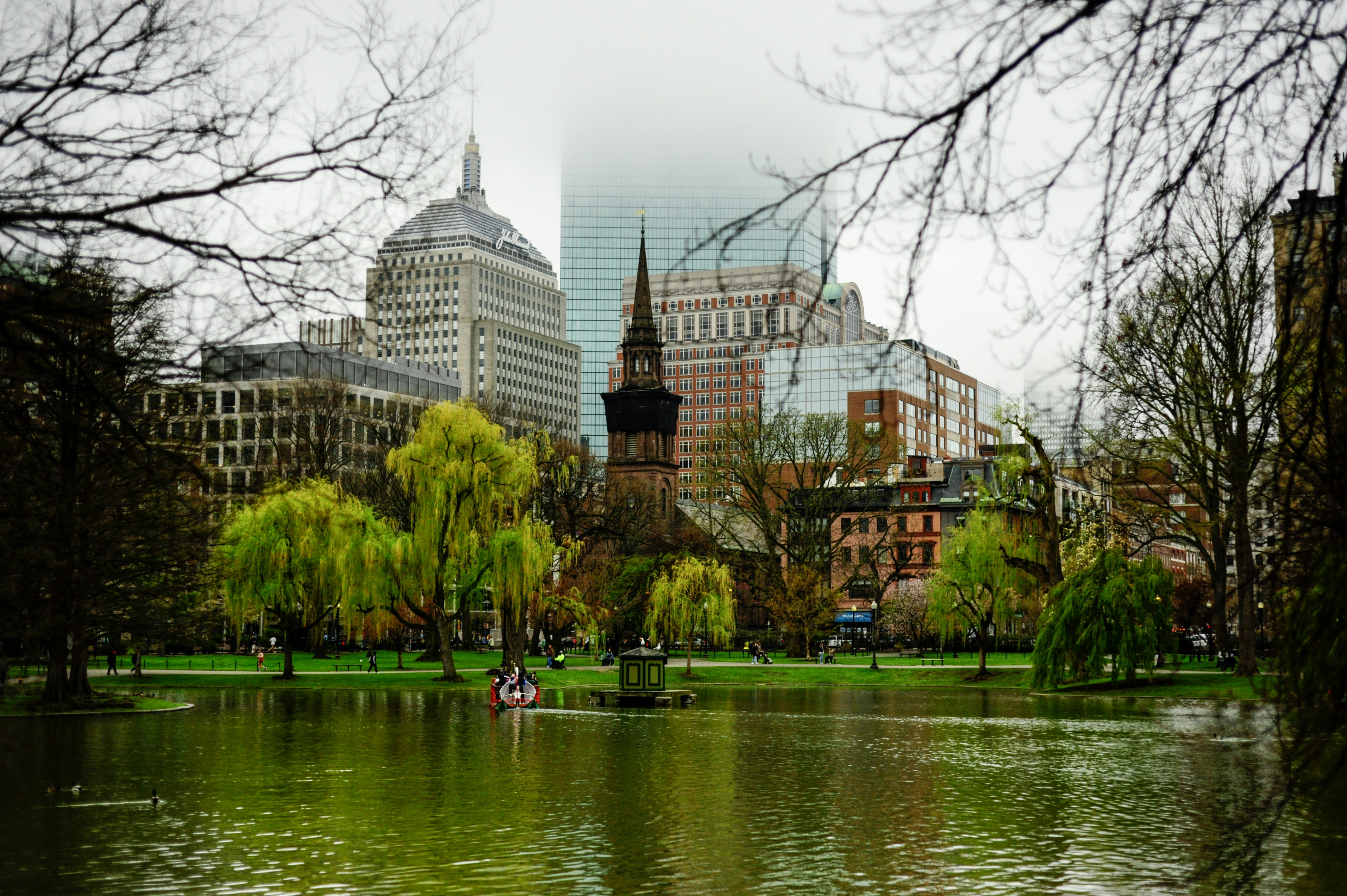 City Park Crest: A Fog-tinged Skyline Over a Serene Pond