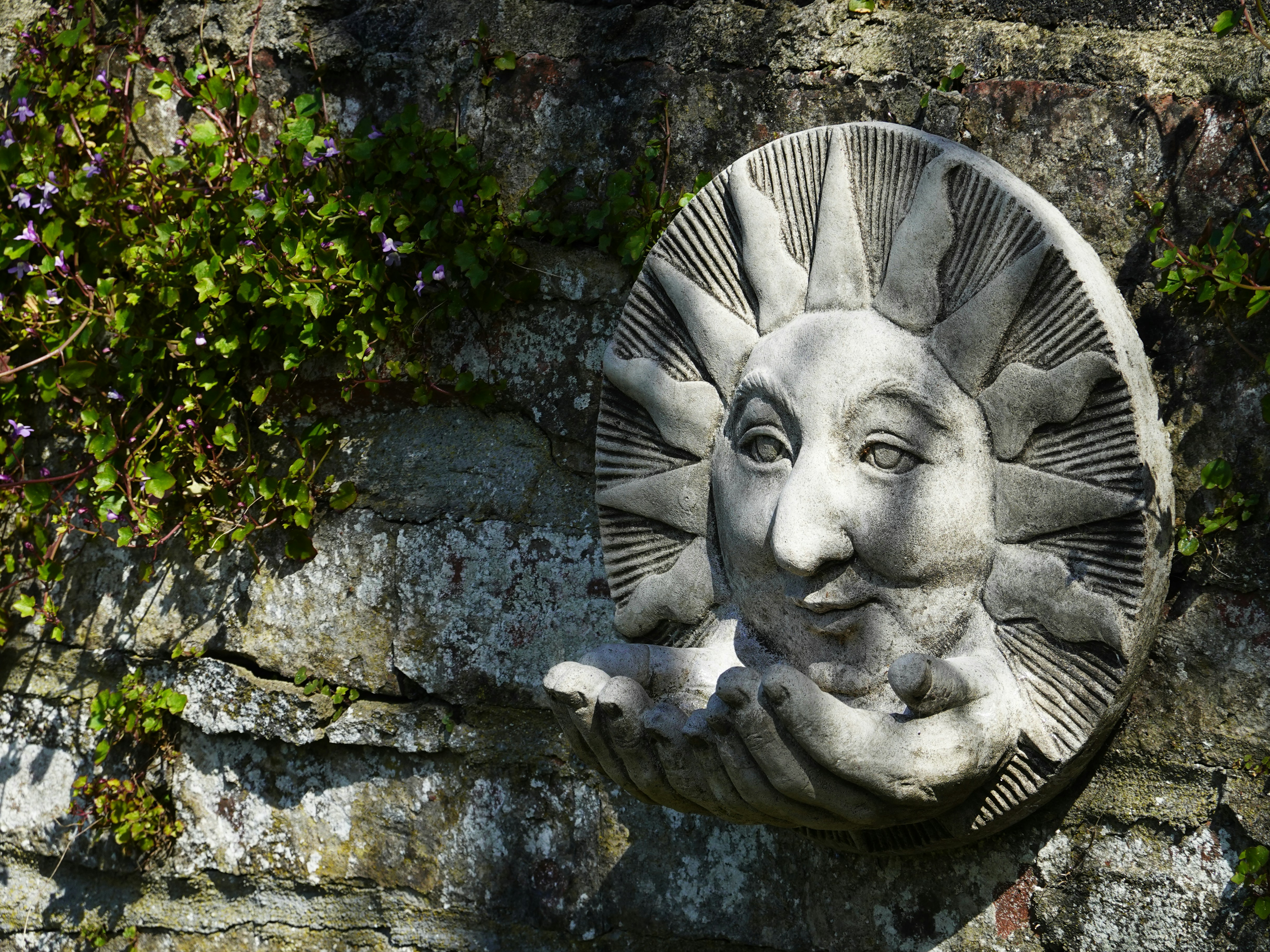 Sun-faced Stone Relief Framed by Green Vines