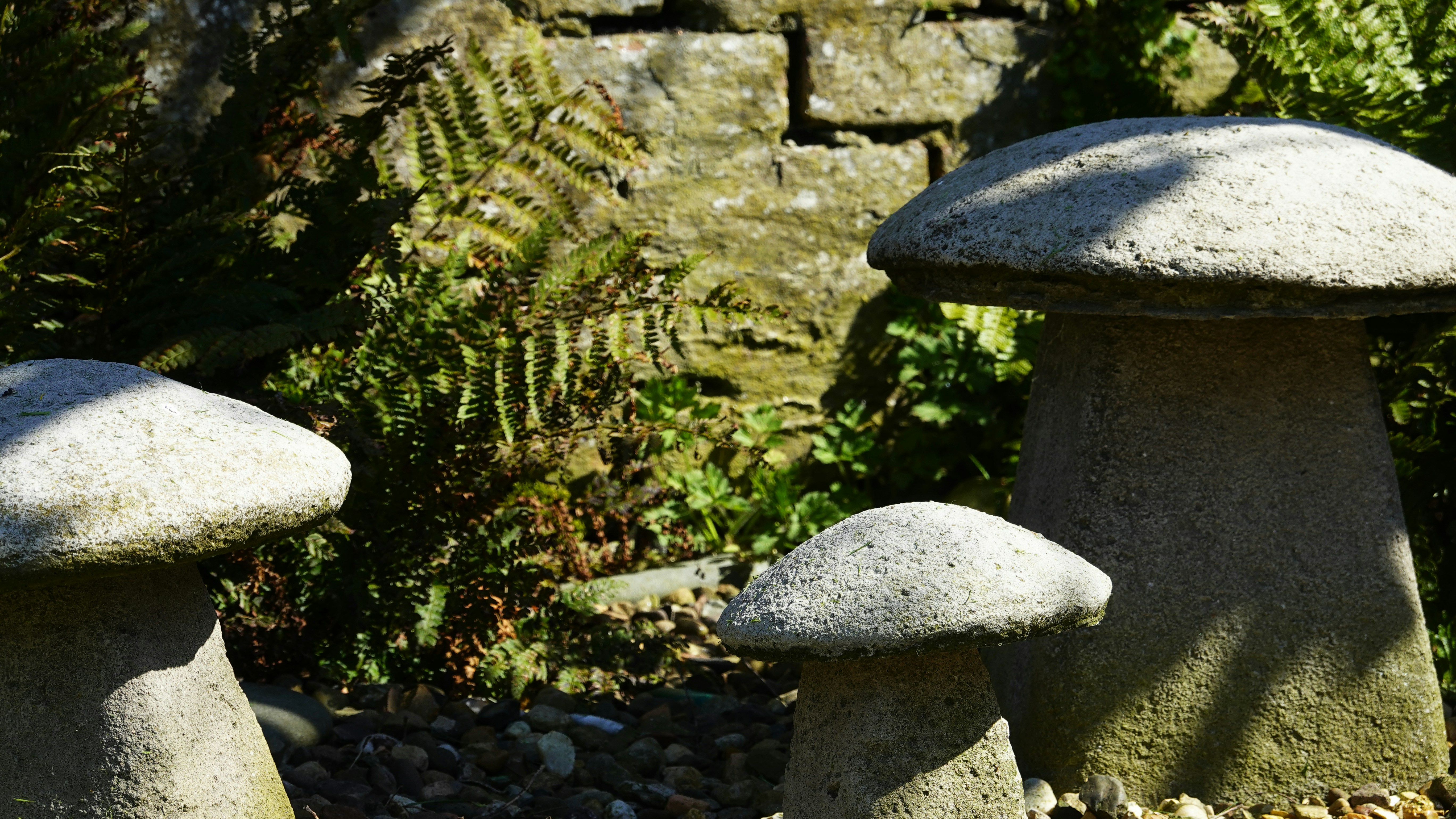 Whispering Stones in a Quiet Garden