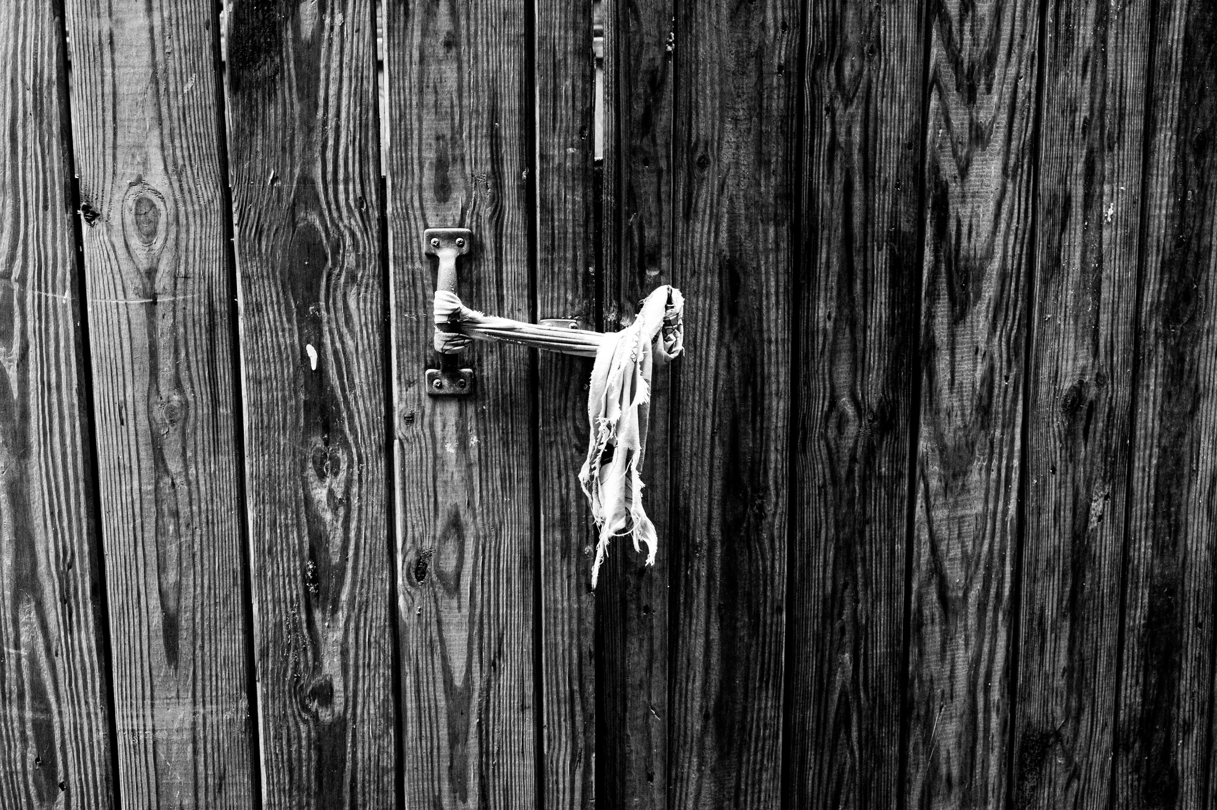 Torn Curtain on a Weathered Gate