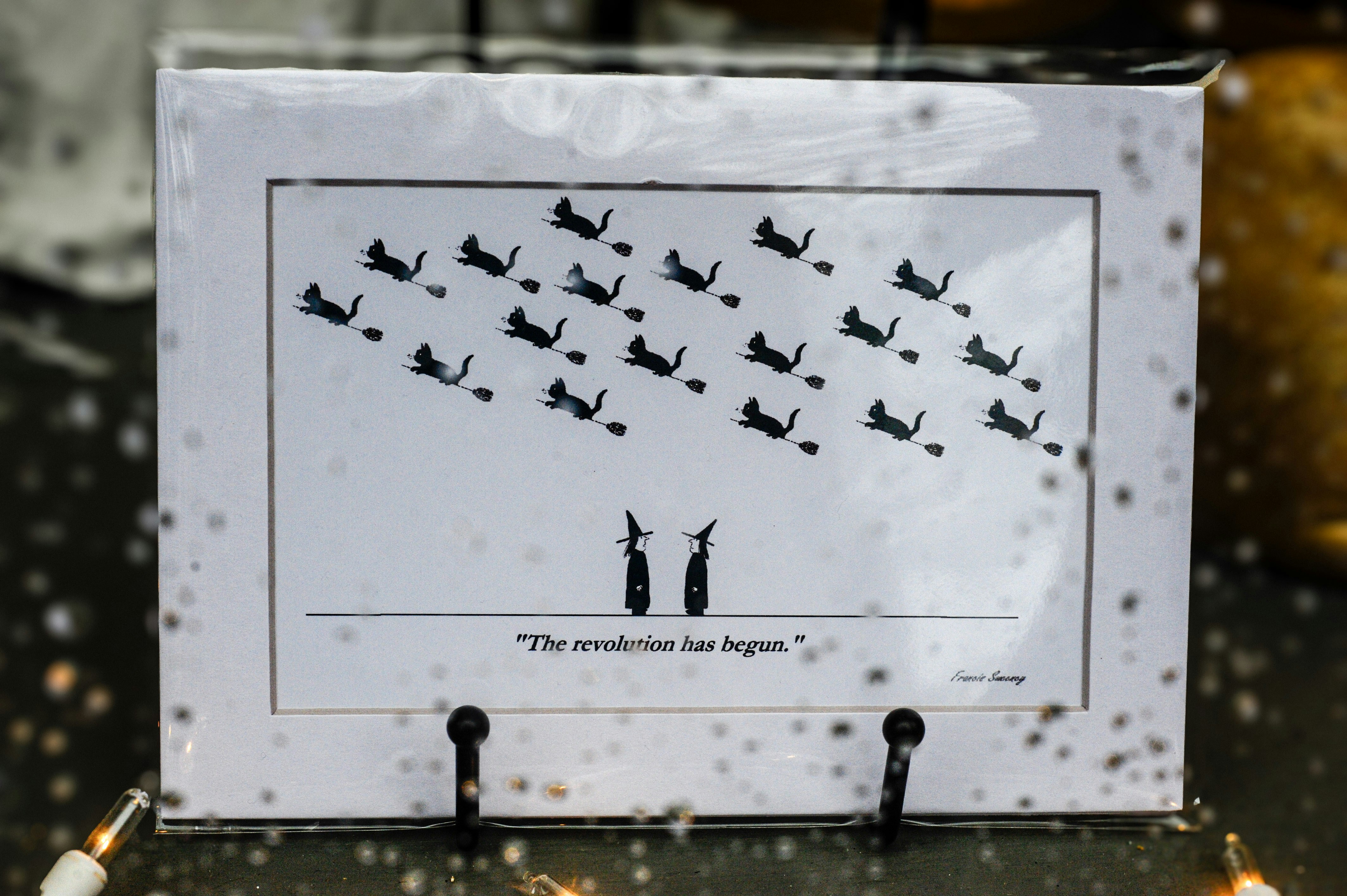 Movement in Silence: A Row of Birds escorted by a Silent Frame