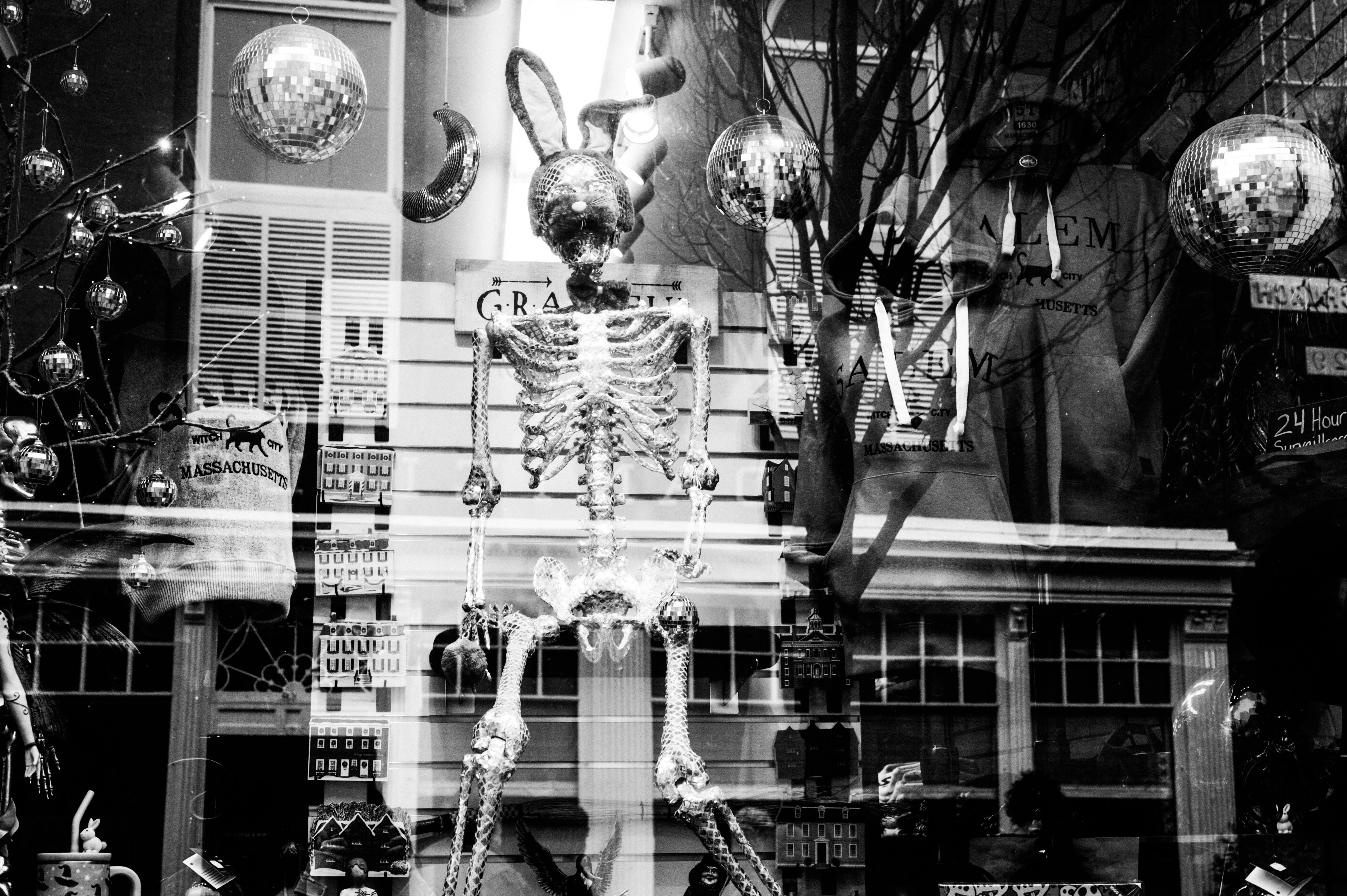 Bone-White Skeleton in a Window full of Midnight Reflections