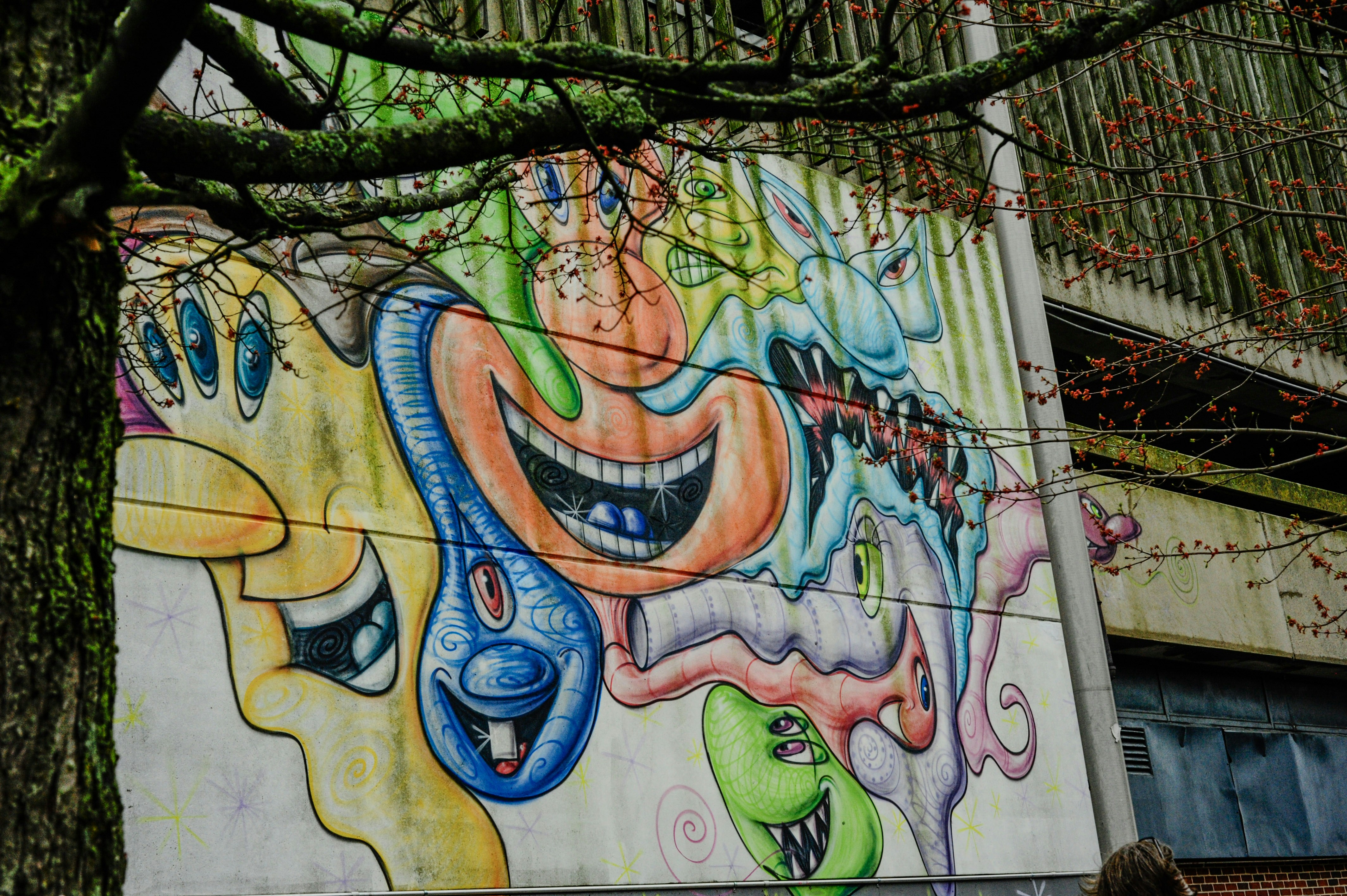 Chromatic Graffiti Faces on a Concrete Canvas
