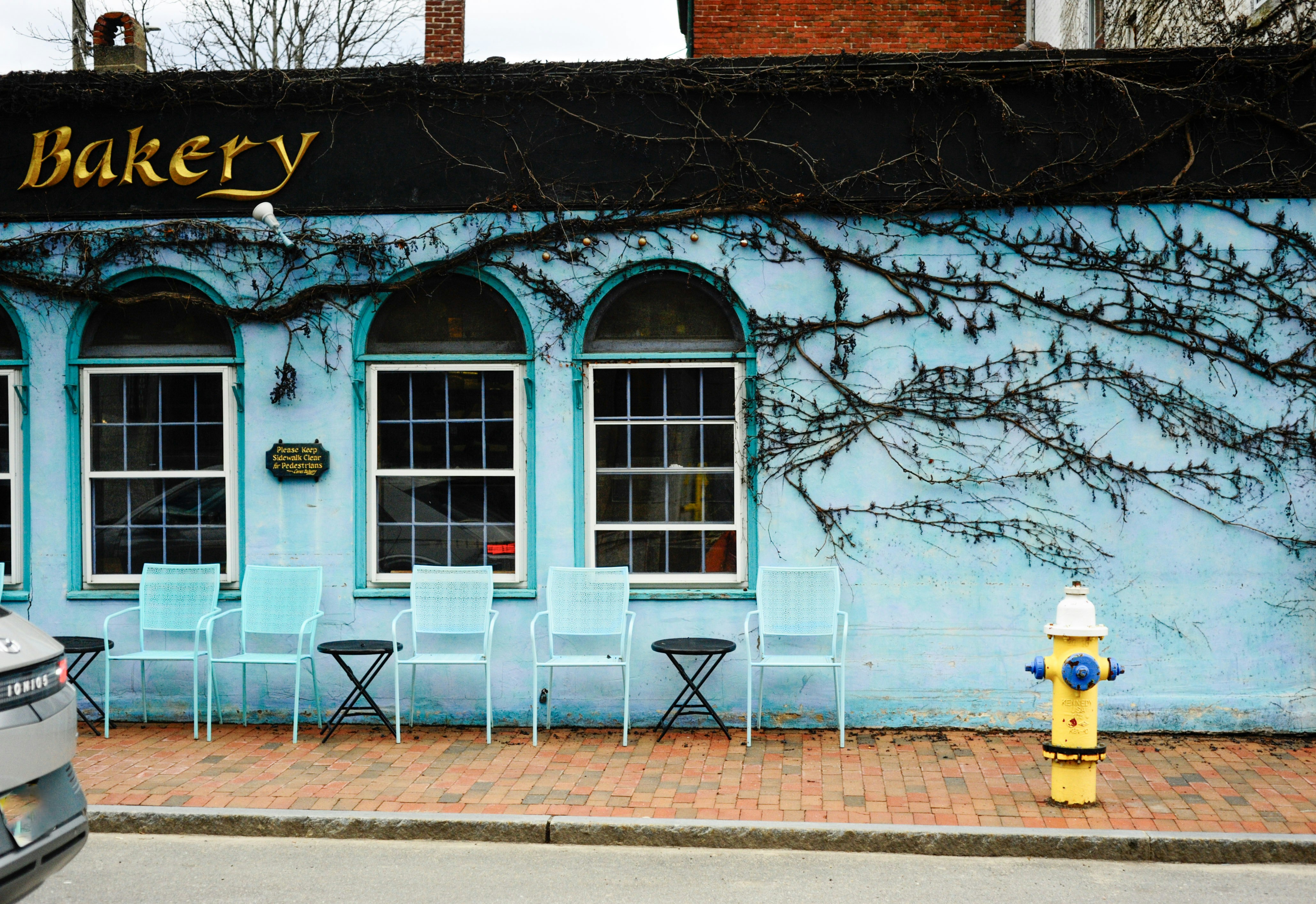 Turquoise Café Terrace Against a Vine-Clad Wall