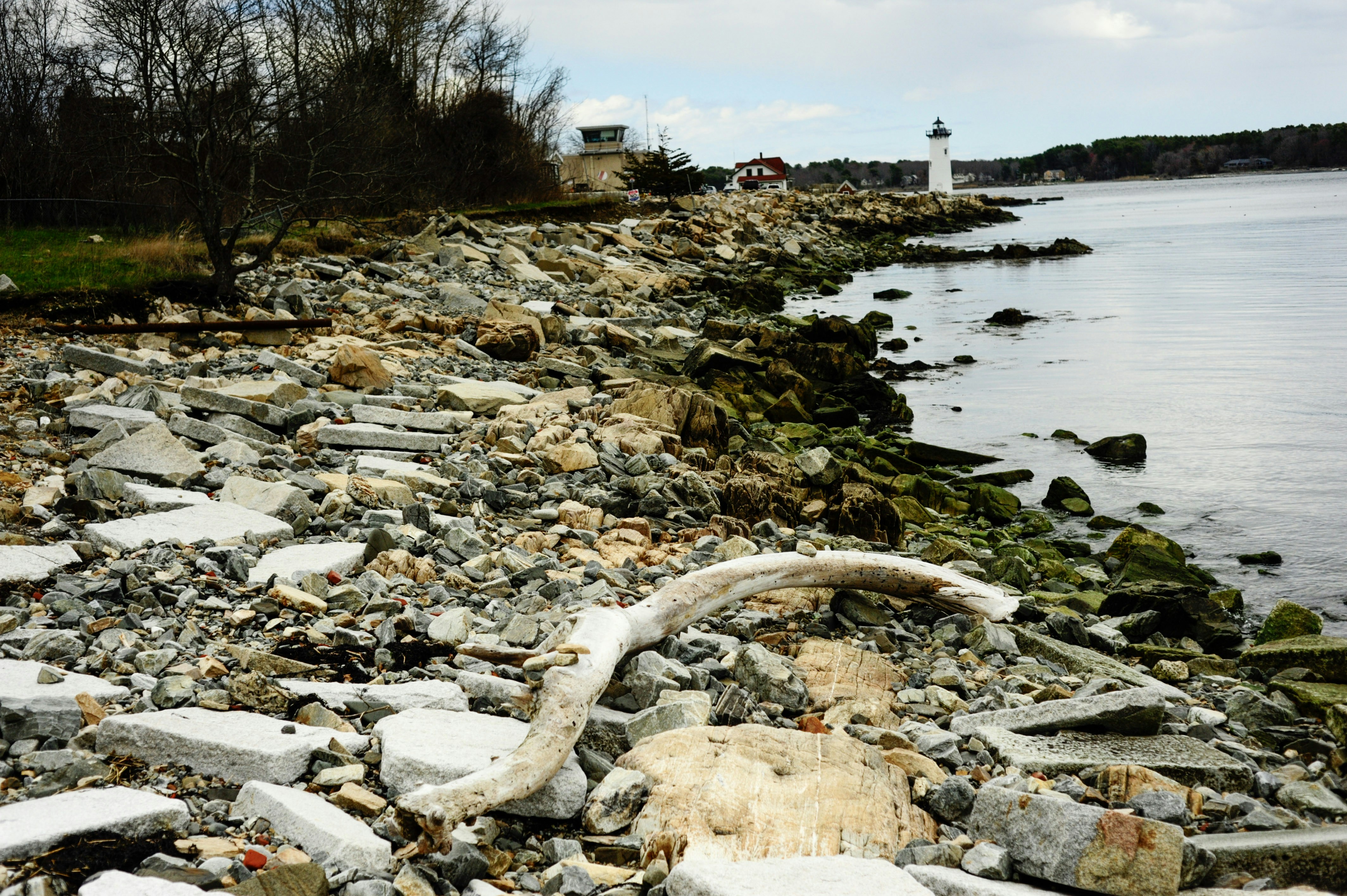 Storm-Weathered Stones meet a Quiet Lighthouse Horizon