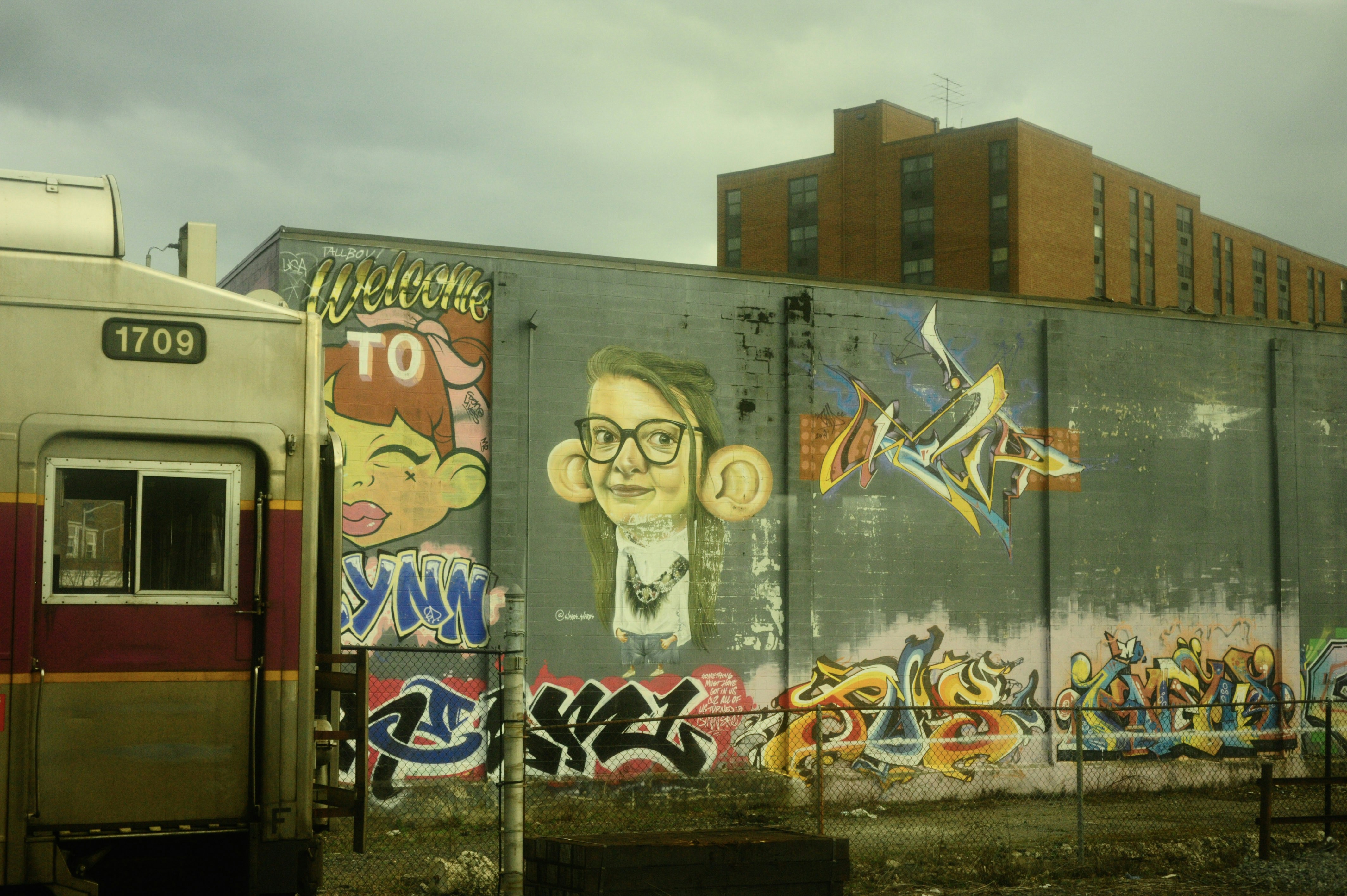 Graffiti Portrait by the Rail: A City Wall with Train Car Approaches