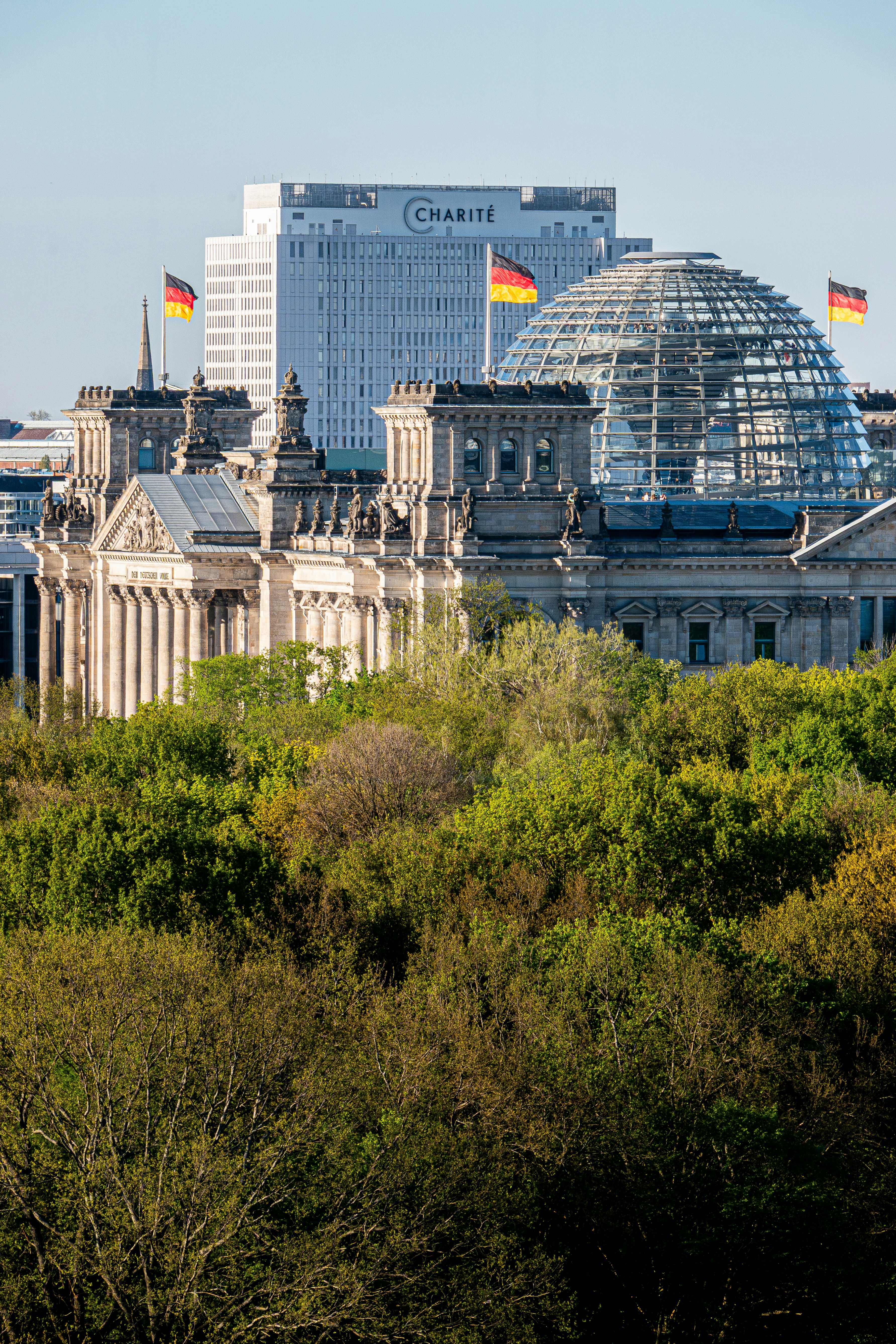 Stone Treasury Over Green Canopy: Berlin’s Historic Façade Beneath a Glass Dome